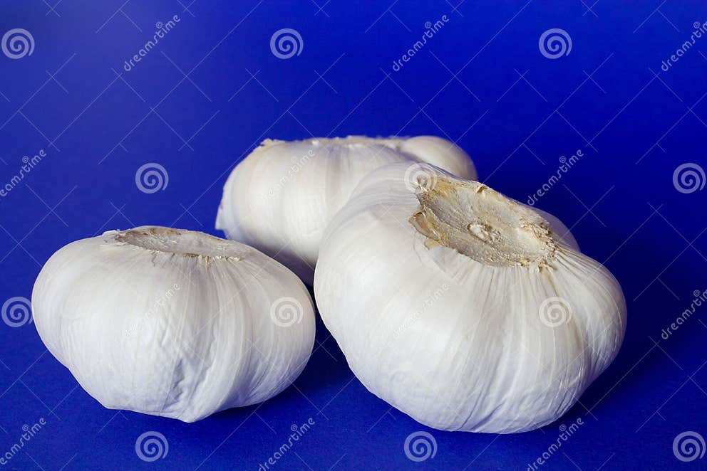 Garlic stock photo. Image of blue, edible, health, kitchen - 2171234