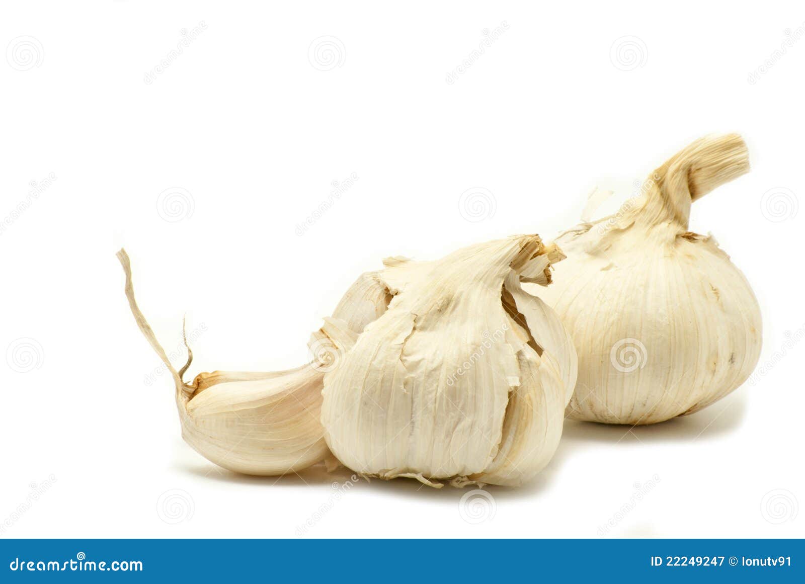Garlic stock image. Image of dinner, yellow, fresh, ingredient - 22249247