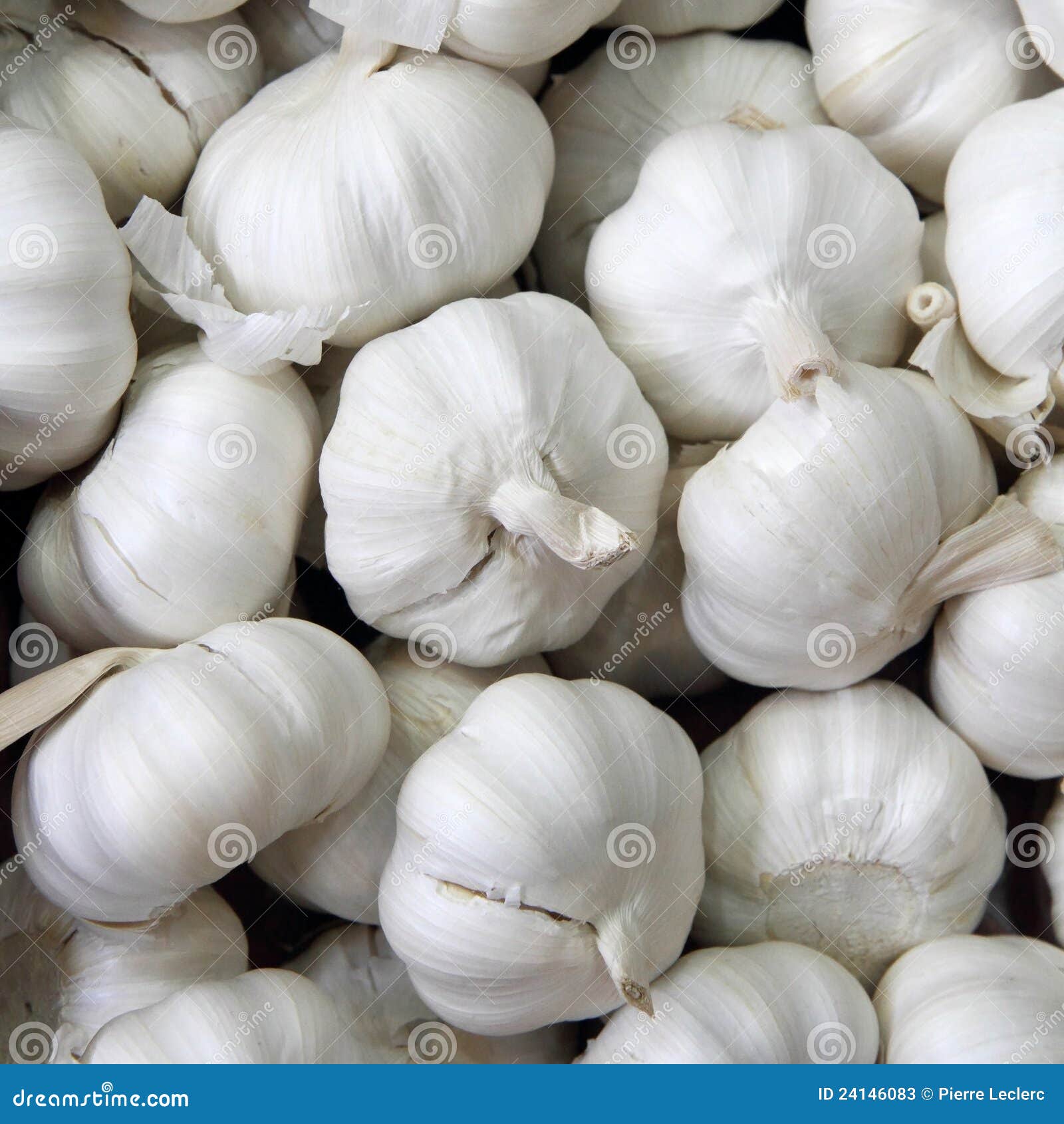 Garlic stock image. Image of foods, stand, organic, fruits - 24146083