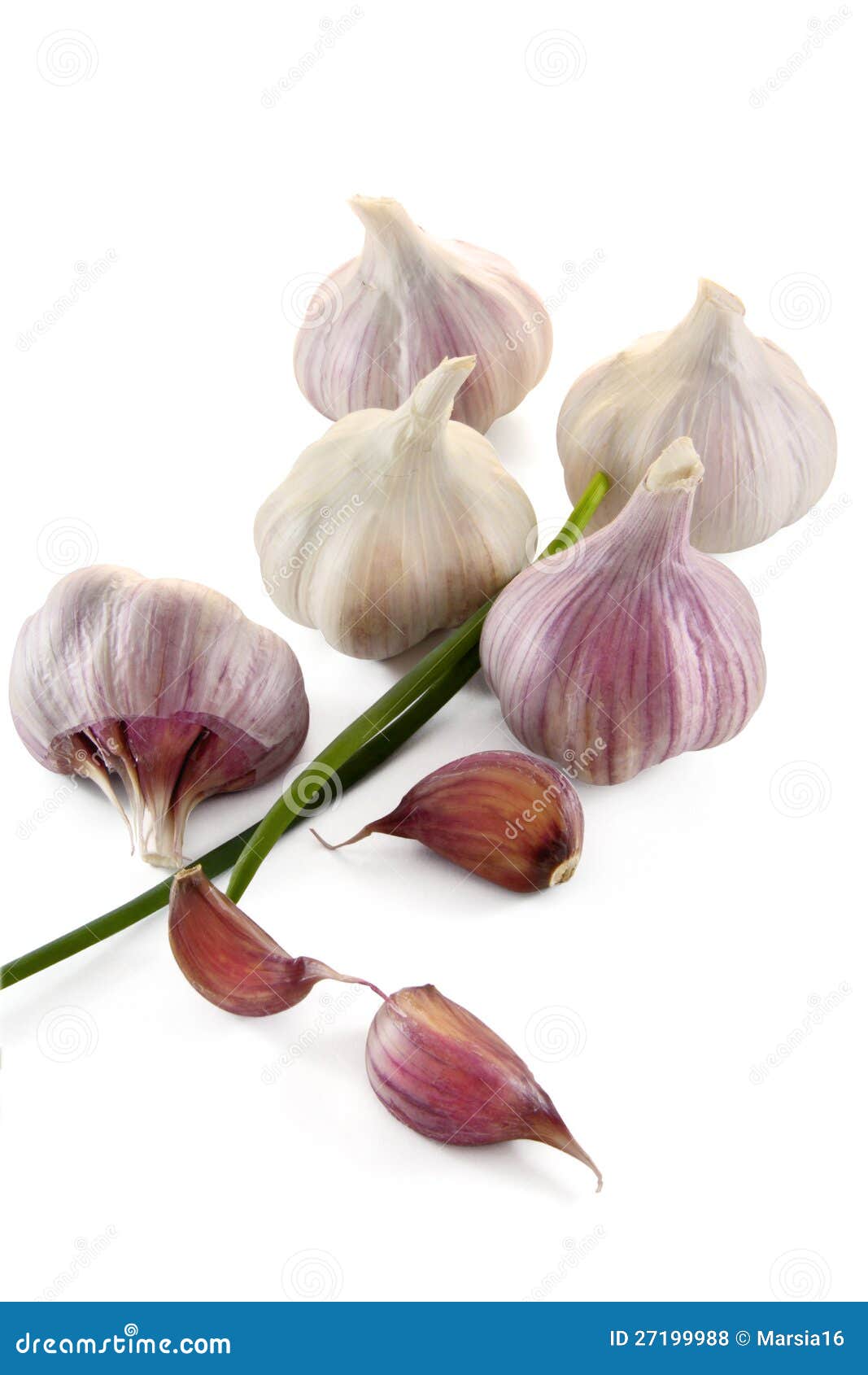 Garlic stock photo. Image of premise, nature, naturally - 27199988