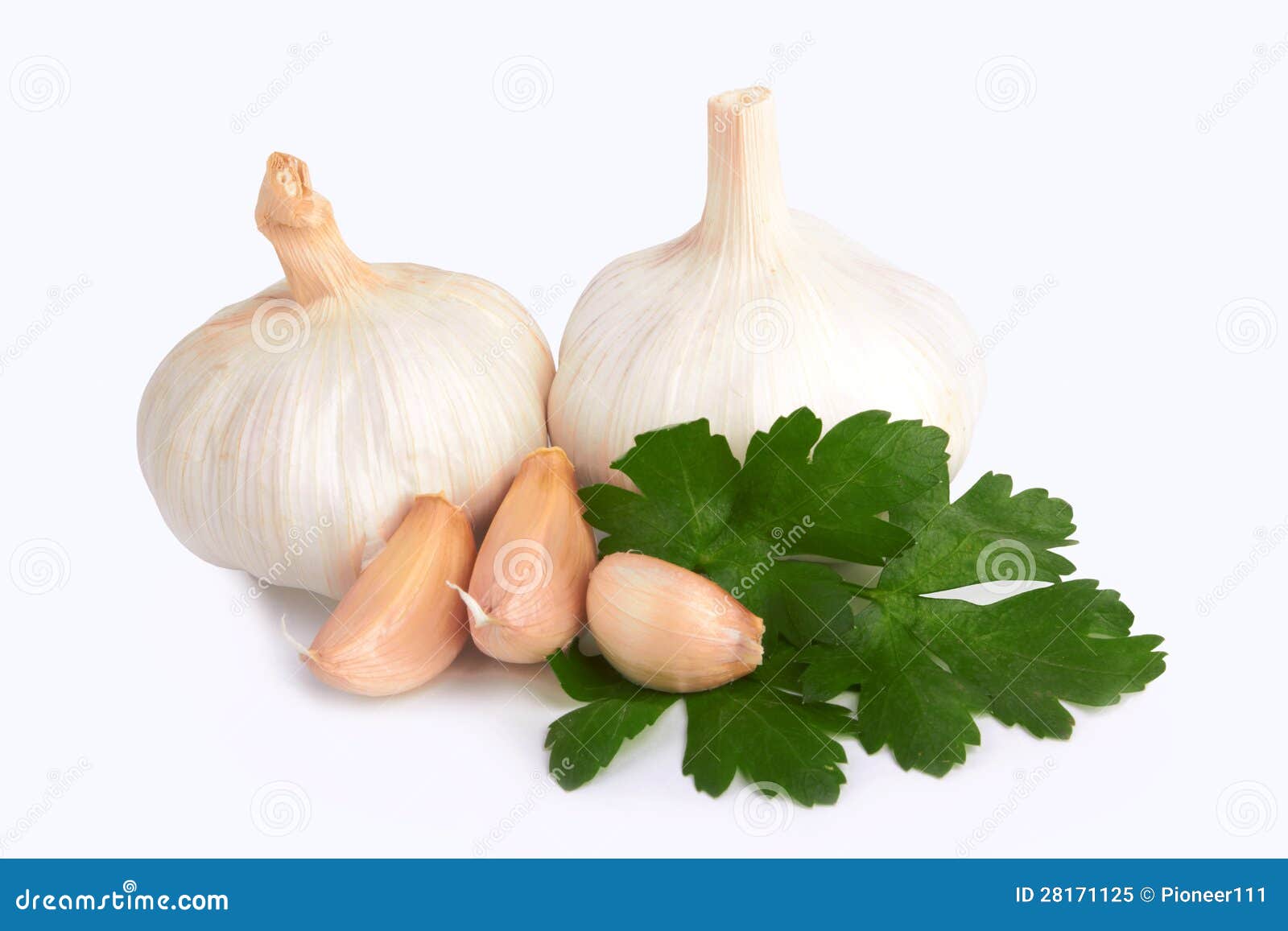 Garlic stock image. Image of harvest, flavorful, bright - 28171125