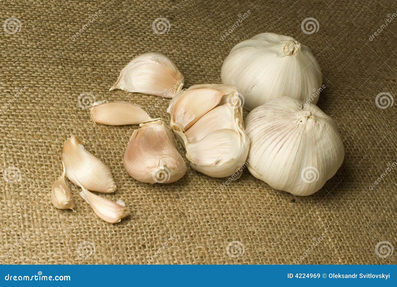 Garlic stock image. Image of food, organic, culinary, italy - 4224969