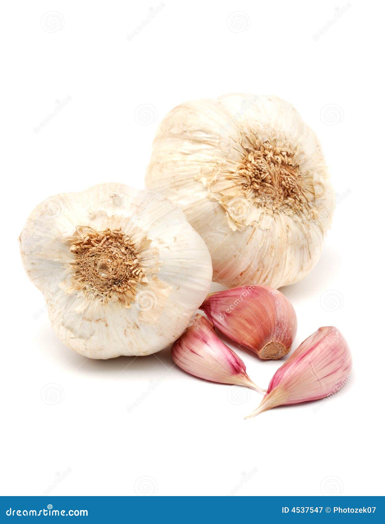 Garlic stock image. Image of crop, bulb, isolated, food - 4537547