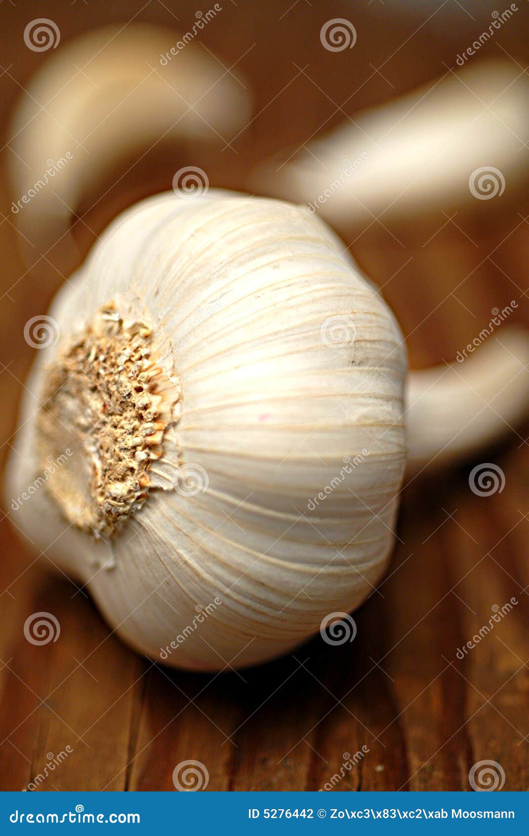 Garlic Picture. Image: 5276442