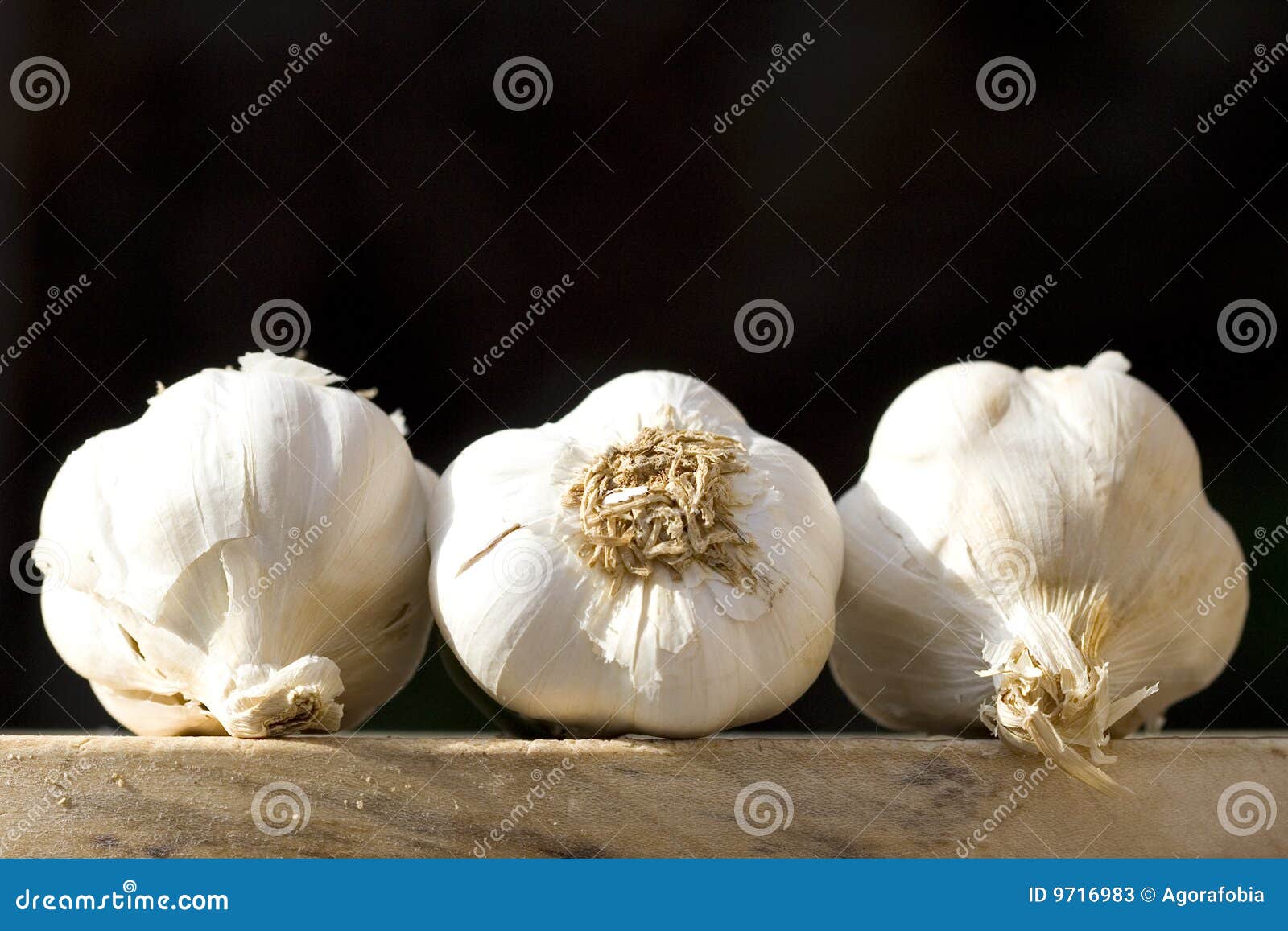 Garlic stock image. Image of spicy, vampires, healthy - 9716983