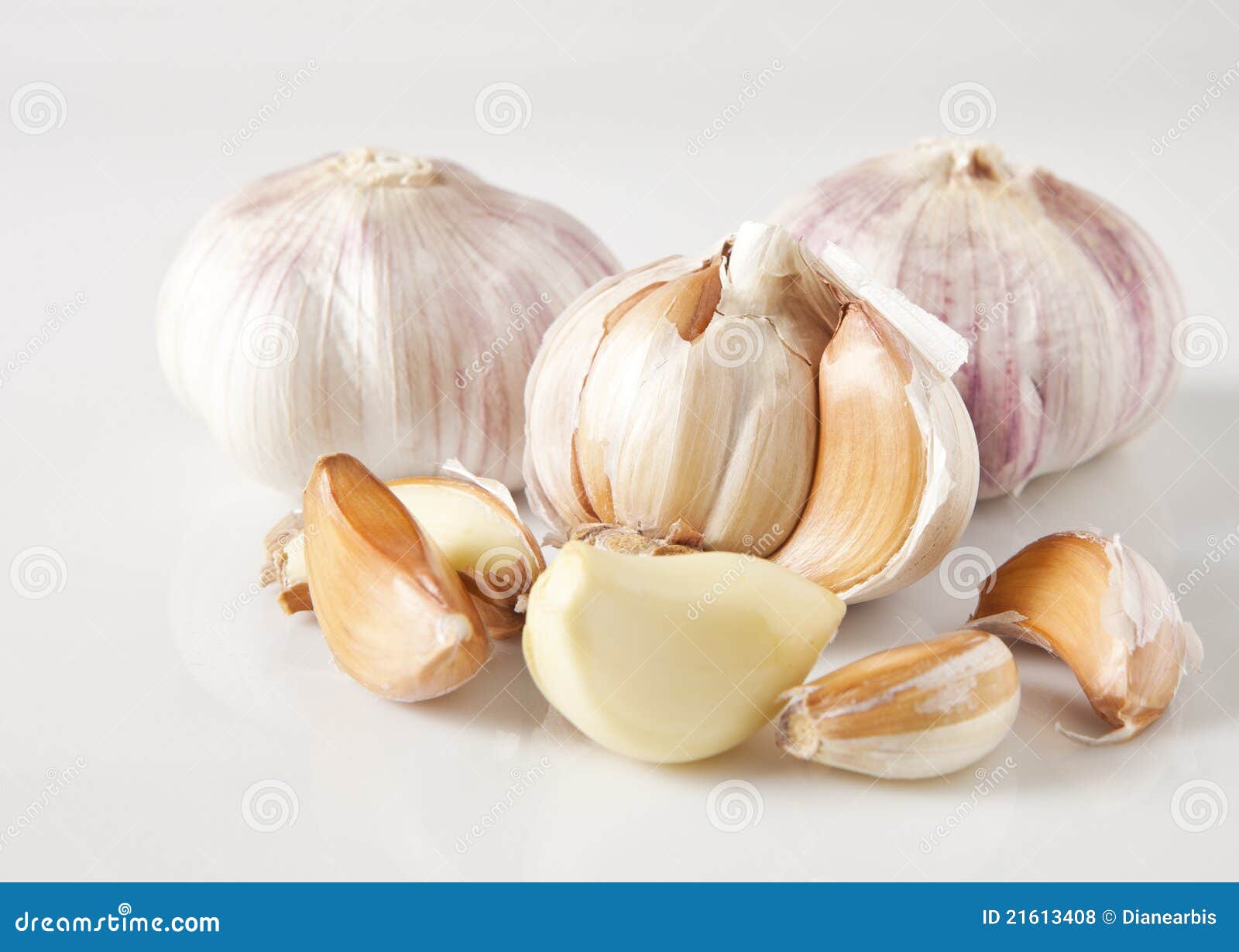 Garlic (Allium sativum) stock photo. Image of healthy - 21613408