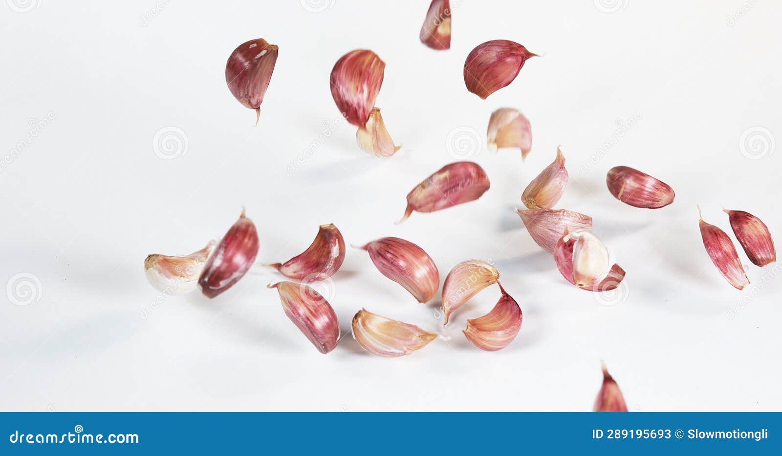 Garlic, Allium Savitum, Falling Against White Background Stock Image ...