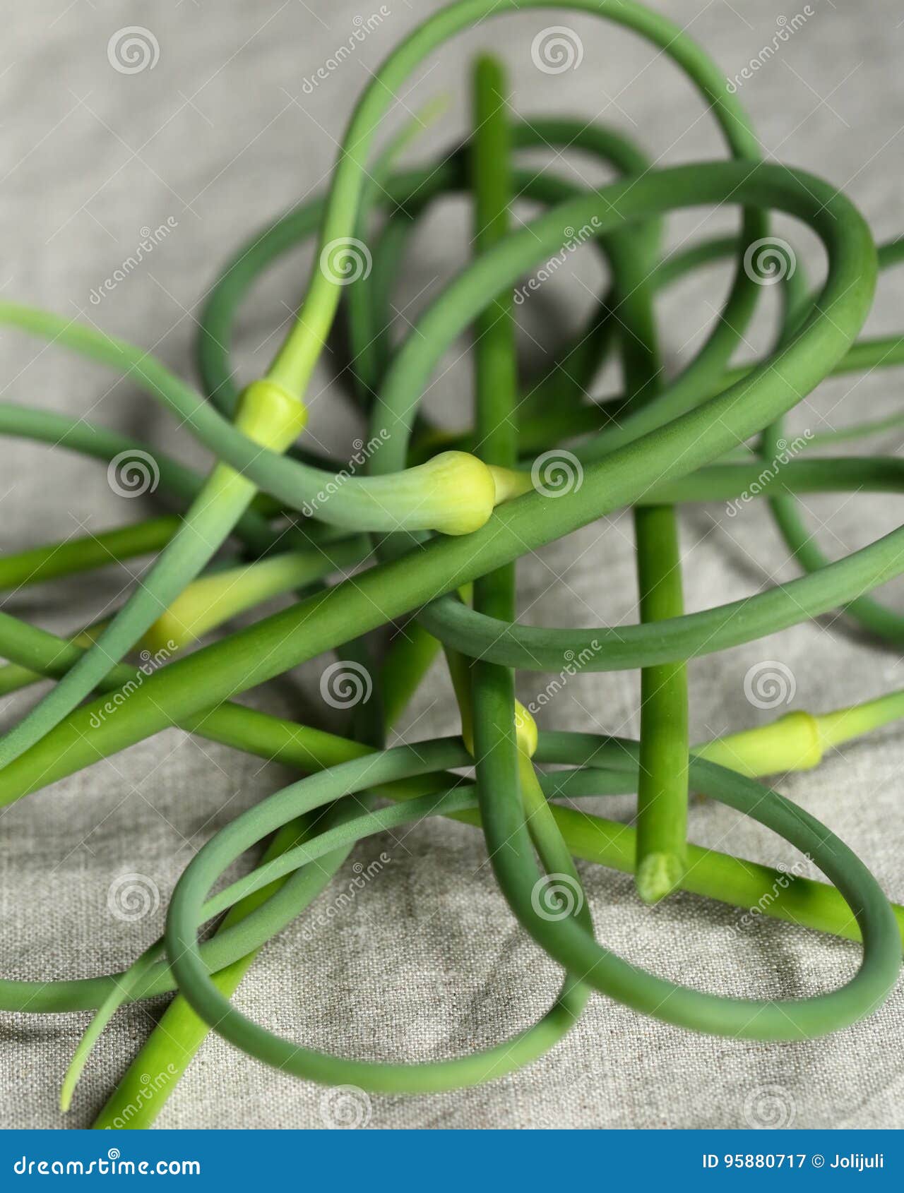 Garlic Arrows In A Hand On A Green Background. Garlic Care Concept ...