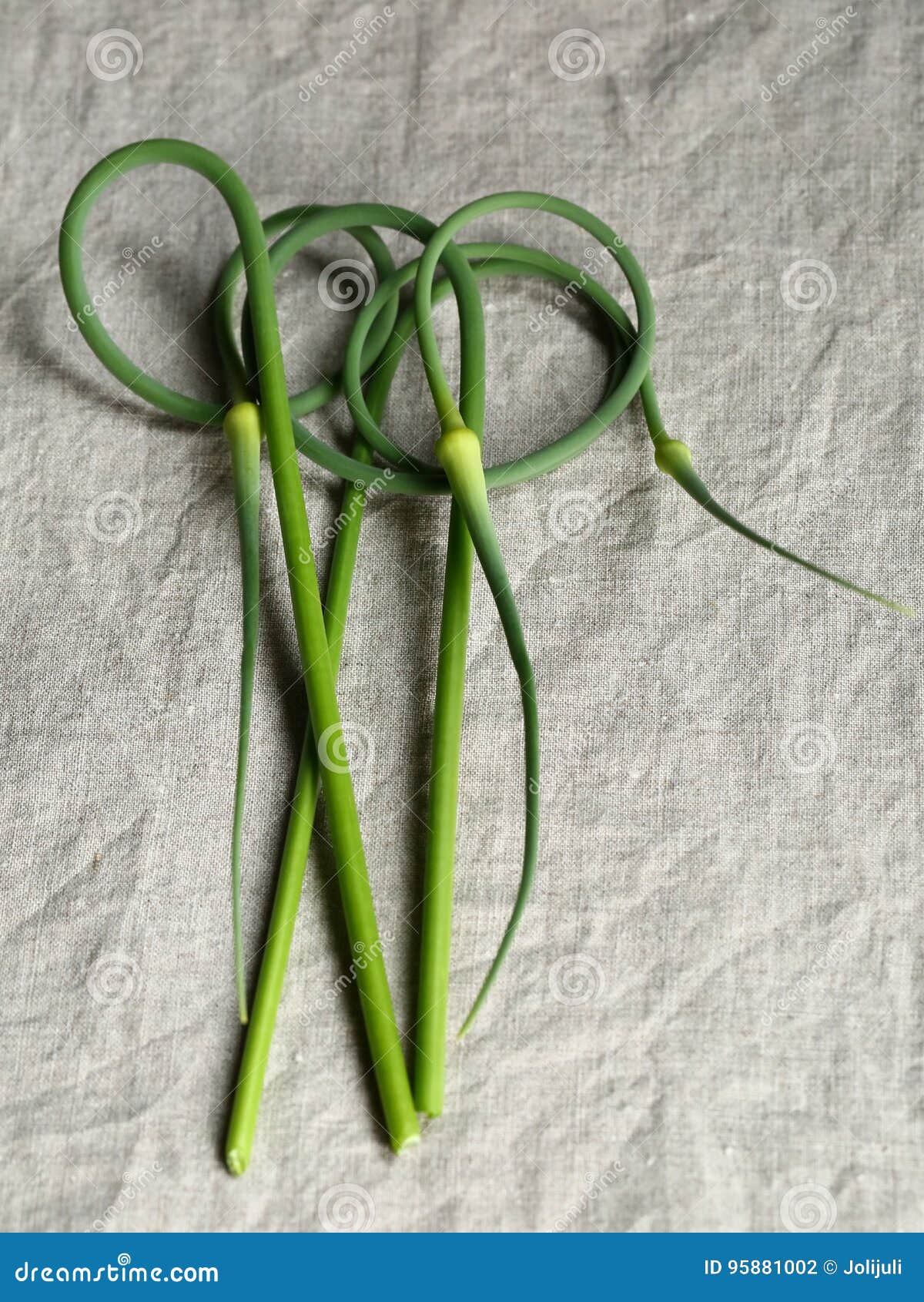 Garlic Arrows In A Hand On A Green Background. Garlic Care Concept ...
