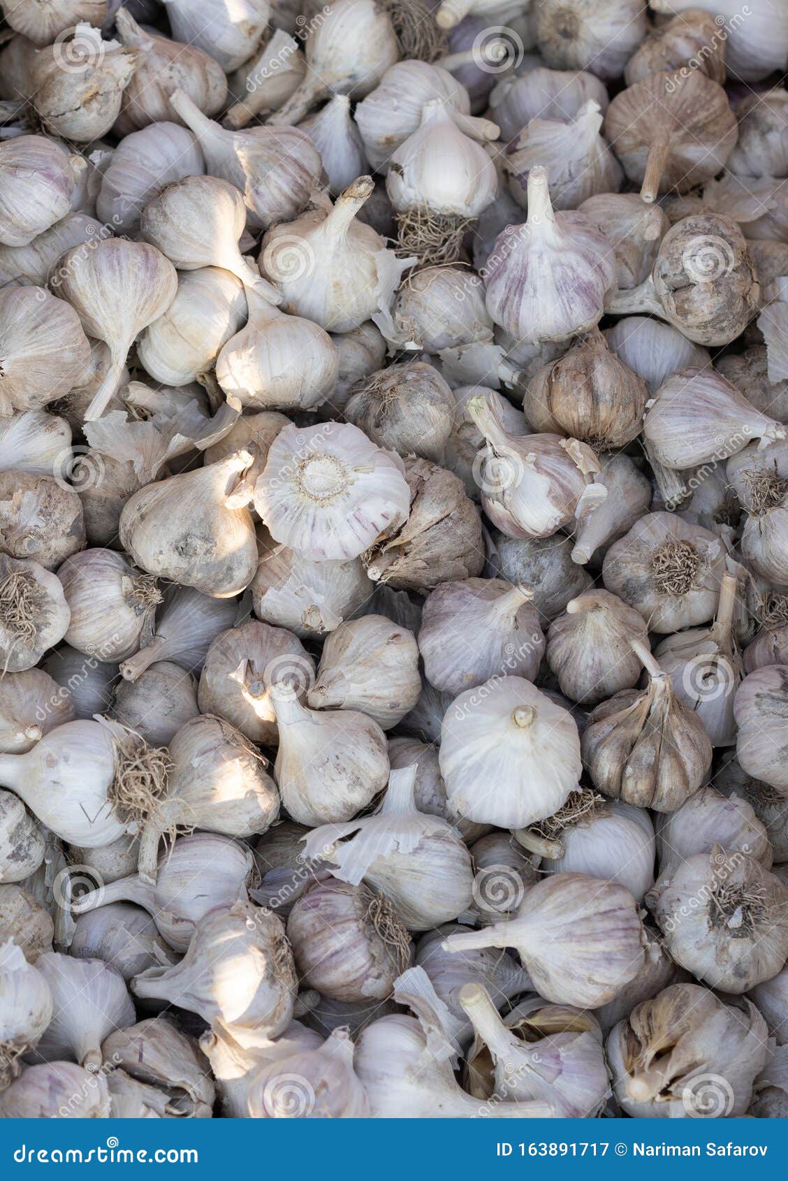 Garlic As Background and Texture Stock Image - Image of garlic, health ...
