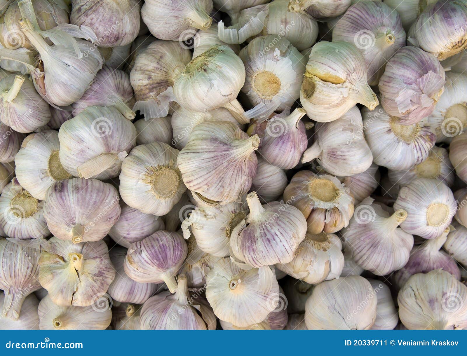 Garlic background stock image. Image of healthy, gardening - 20339711