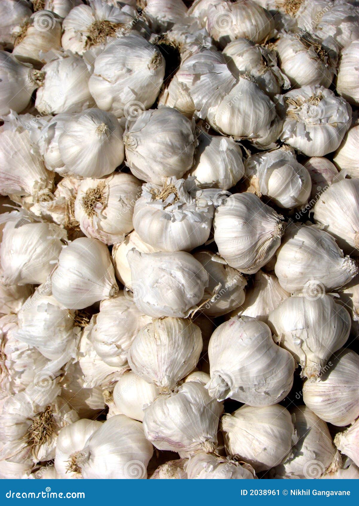 Garlic Background stock image. Image of agro, natural - 2038961