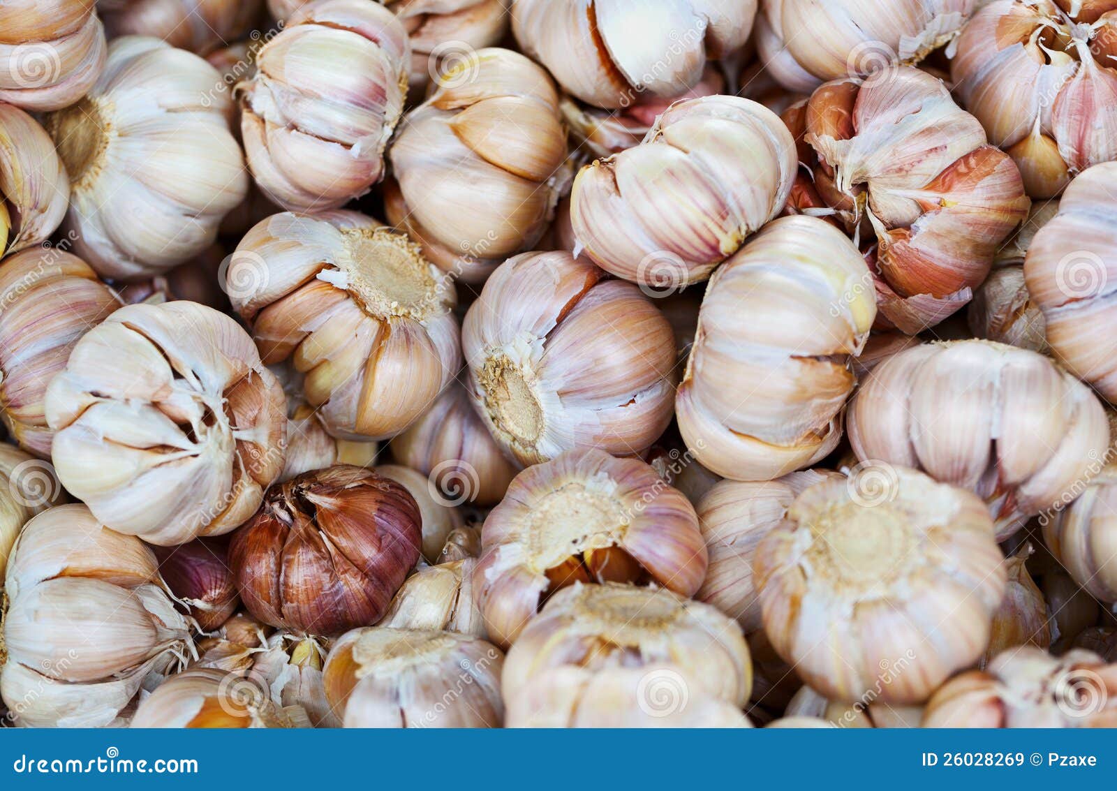 Garlic background stock image. Image of closeup, organic - 26028269