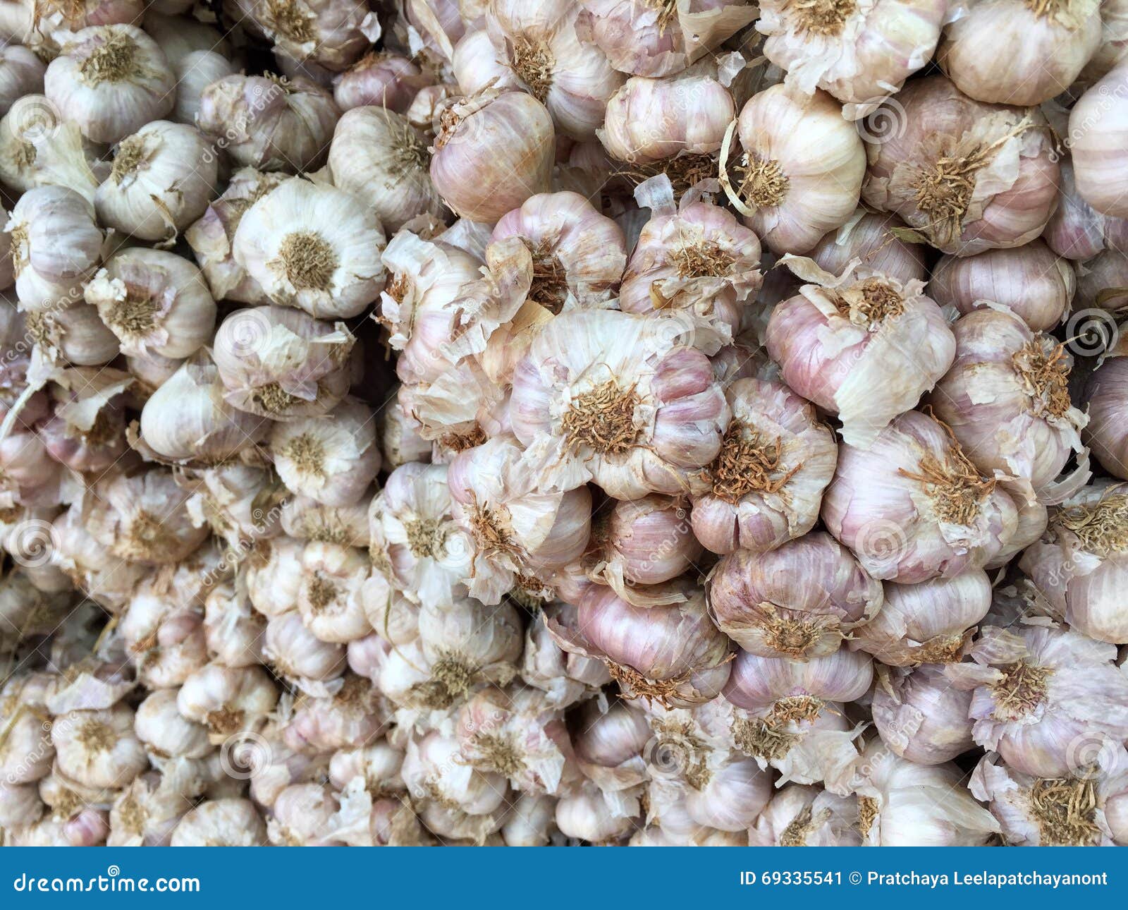 Garlic background stock image. Image of veggies, yummy - 69335541