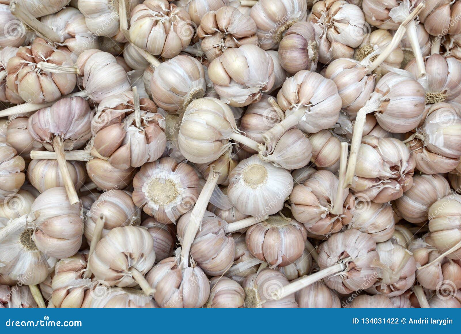 Garlic Background Wallpaper Stock Photo - Image of seasoning, bulb ...