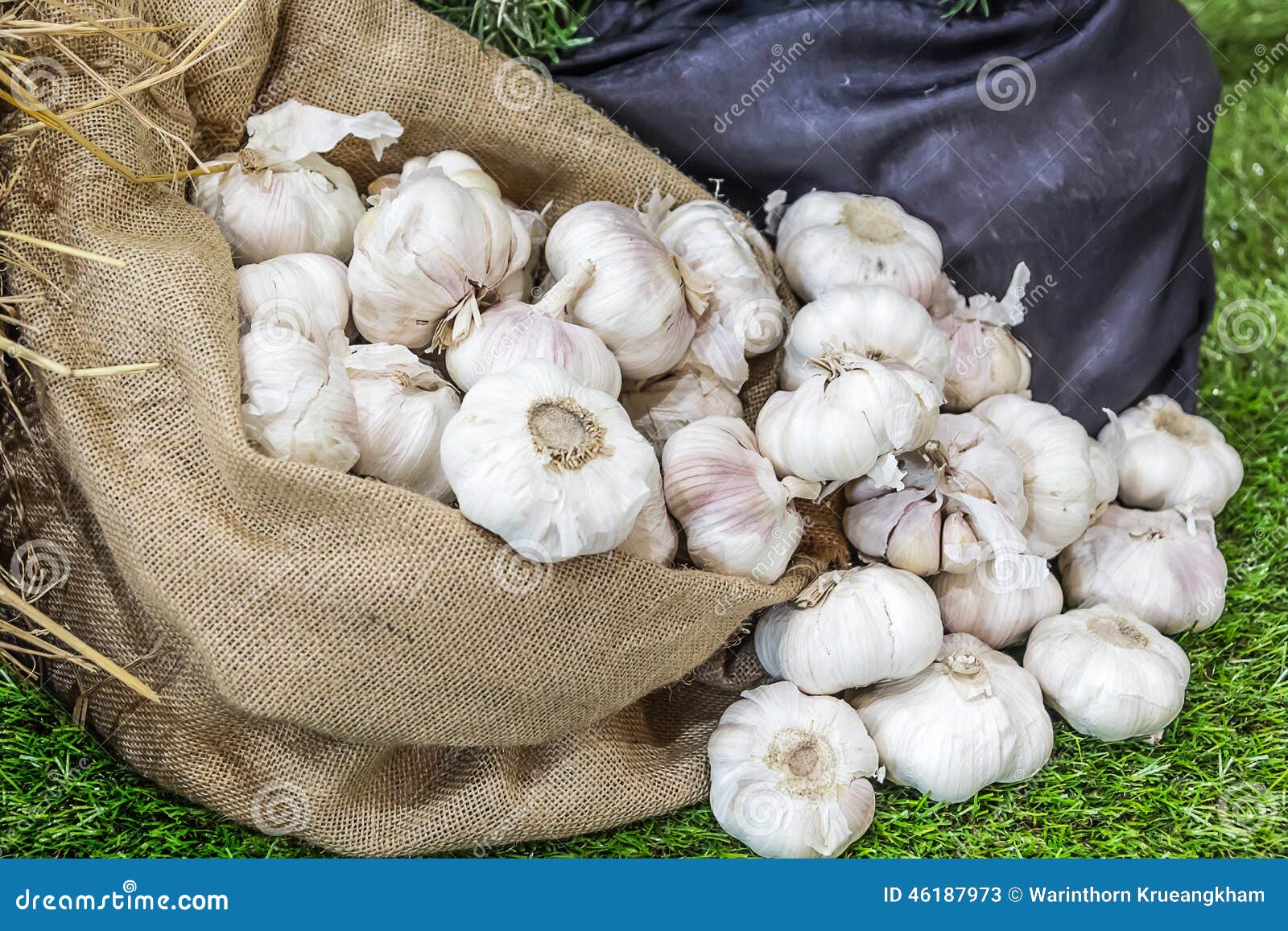 Garlic in a bag stock image. Image of fresh, eating, natural - 46187973