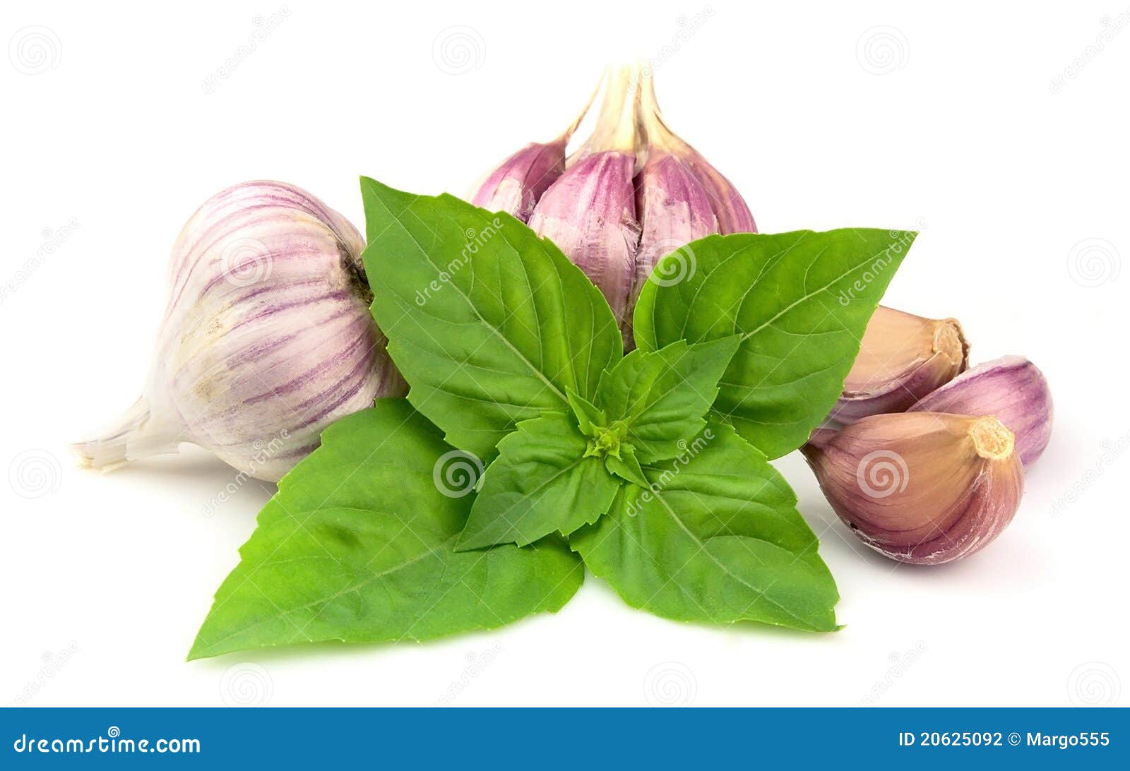 Garlic and basil stock photo. Image of background, white - 20625092