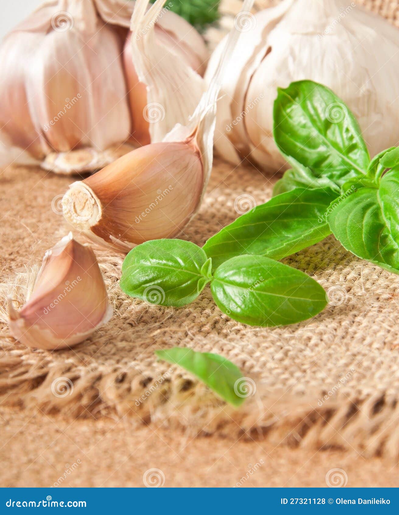 Garlic and basil stock photo. Image of crush, basil, health - 27321128