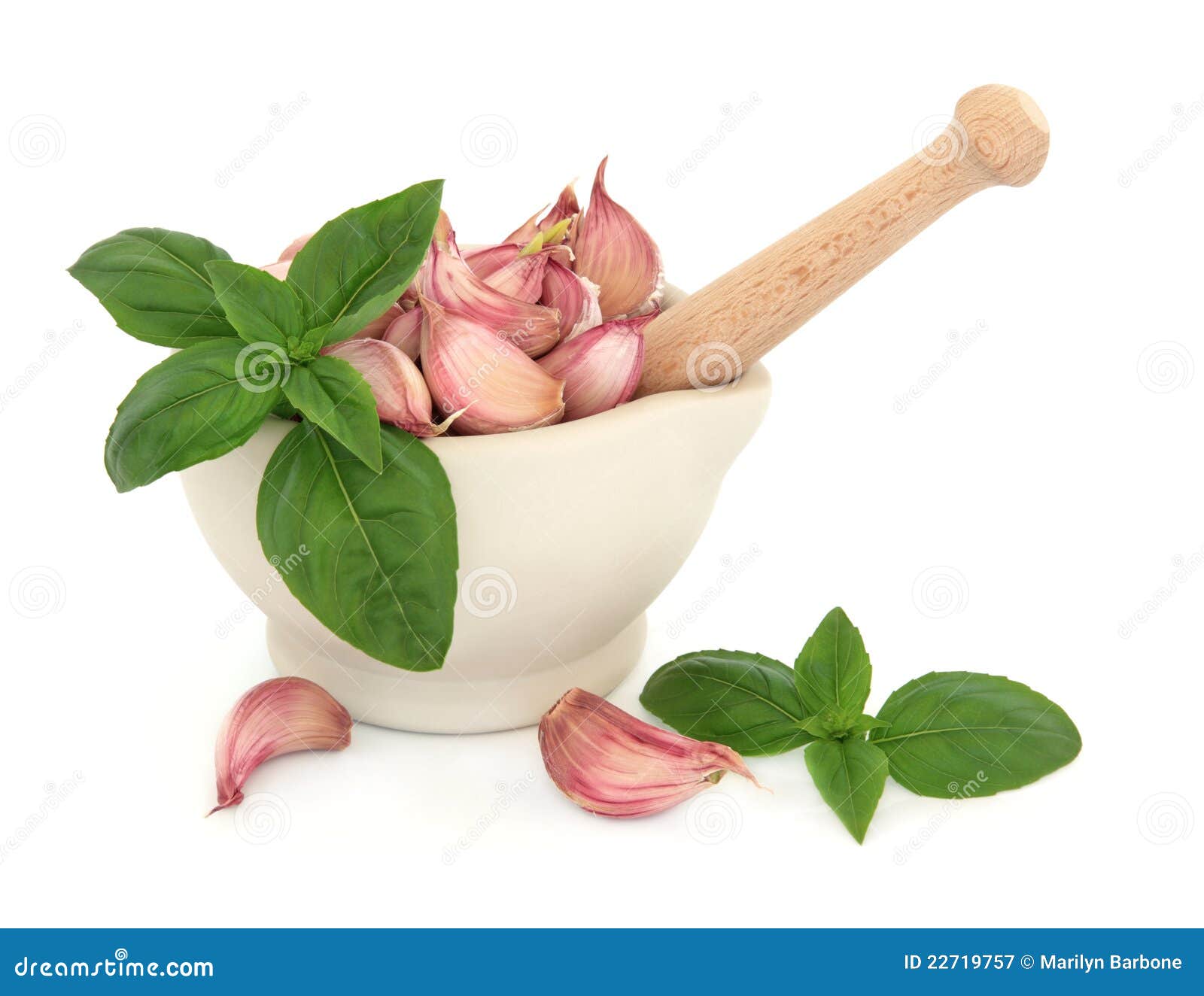 Garlic and Basil Herb stock image. Image of pestle, flavouring - 22719757