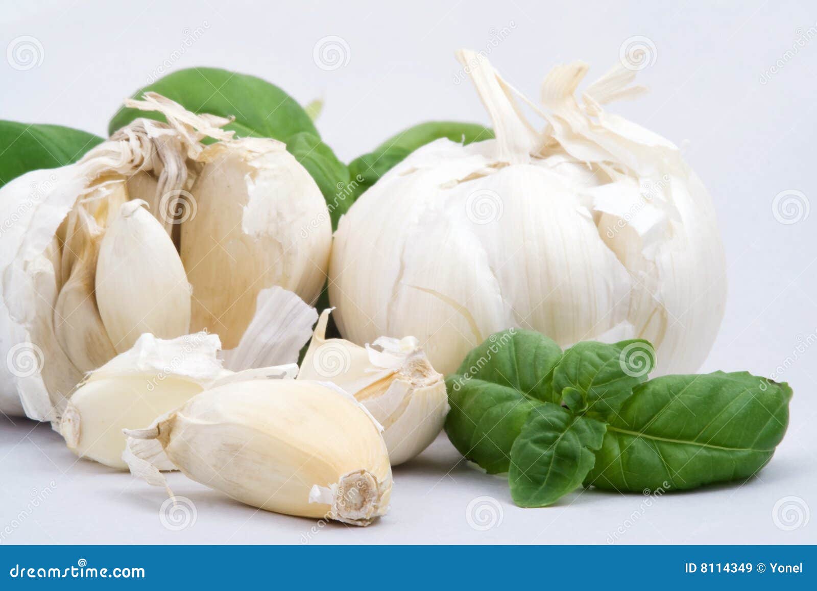 Garlic and basil, macro stock image. Image of dieting - 8114349