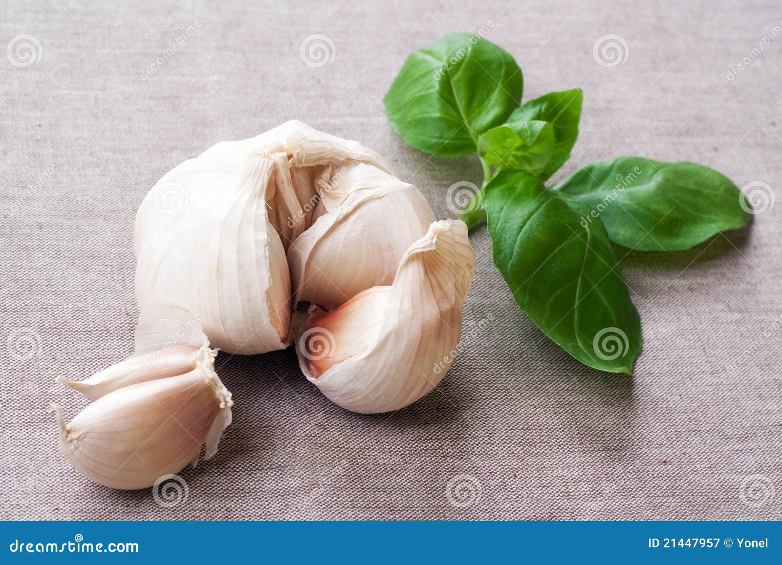 Garlic and Basil, Sitll Life. Stock Image - Image of condiment, garlic ...