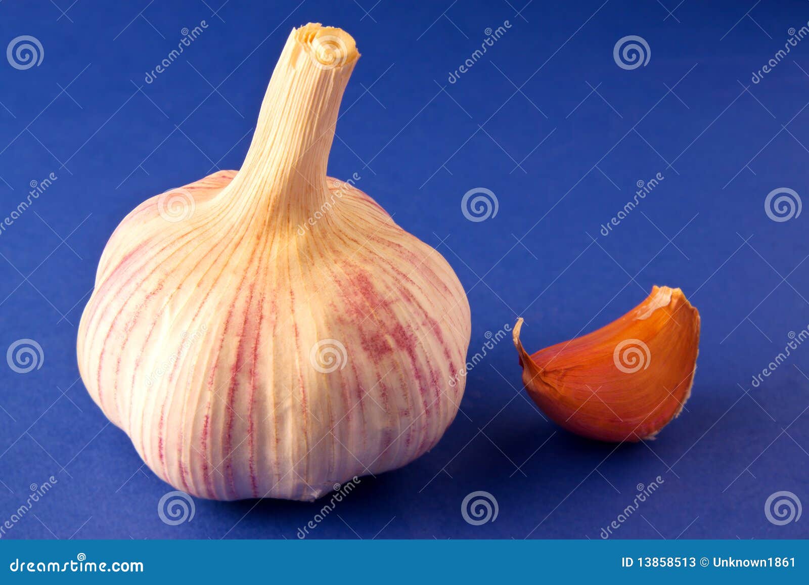Garlic On Blue Stock Photos - Image: 13858513
