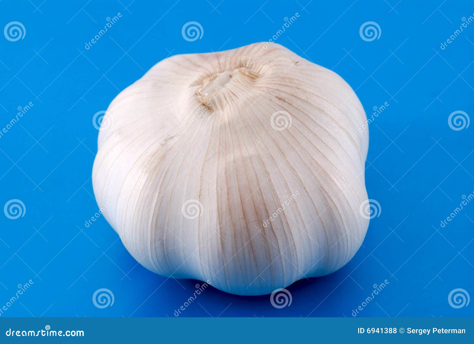 Garlic on blue stock photo. Image of vegetable, spice - 6941388