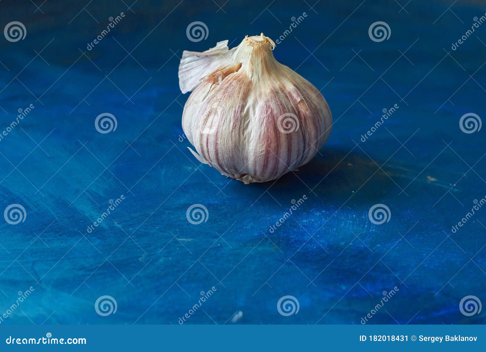 Garlic on a Blue Background Stock Image - Image of garlic, bulb: 182018431