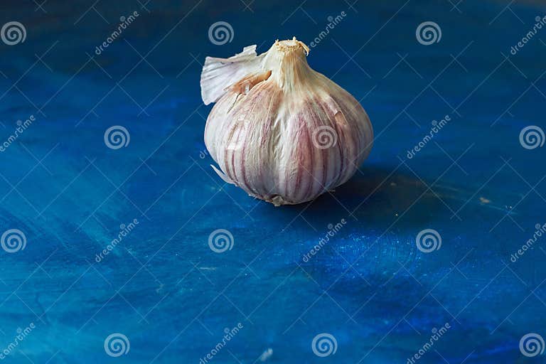 Garlic on a Blue Background Stock Image - Image of garlic, bulb: 182018431