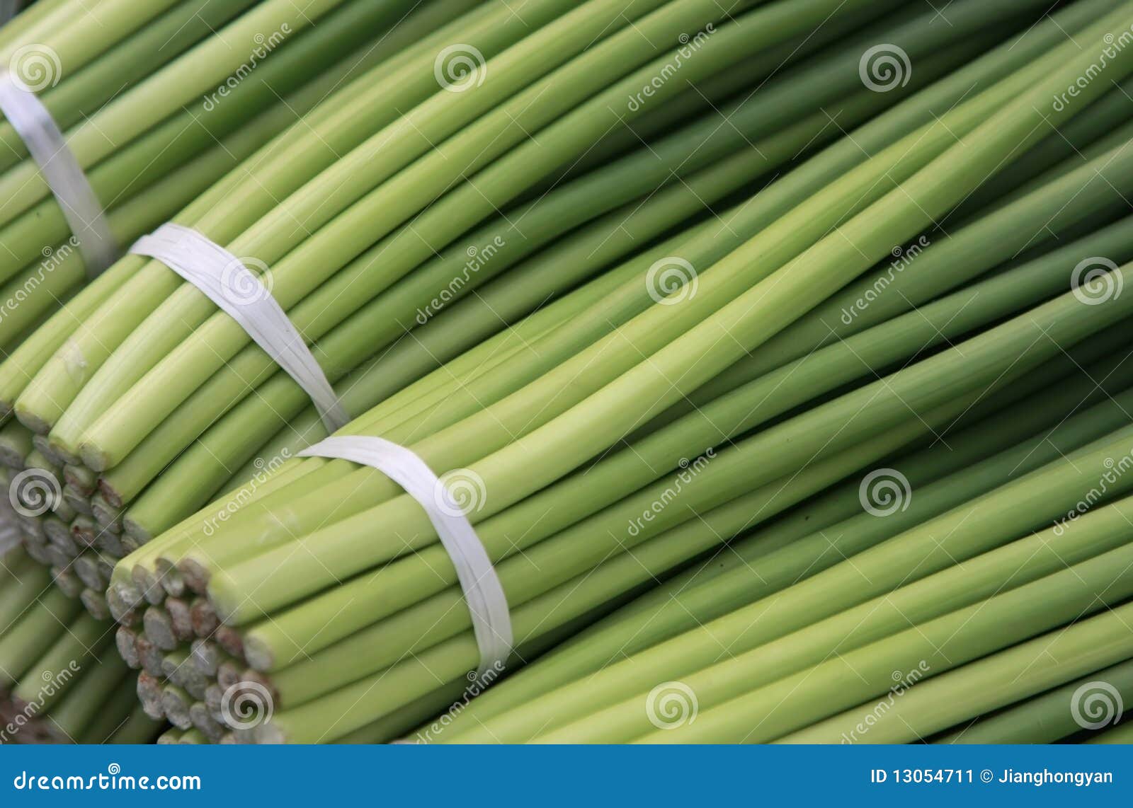 Garlic bolt stock image. Image of green, buds, beliefs - 13054711