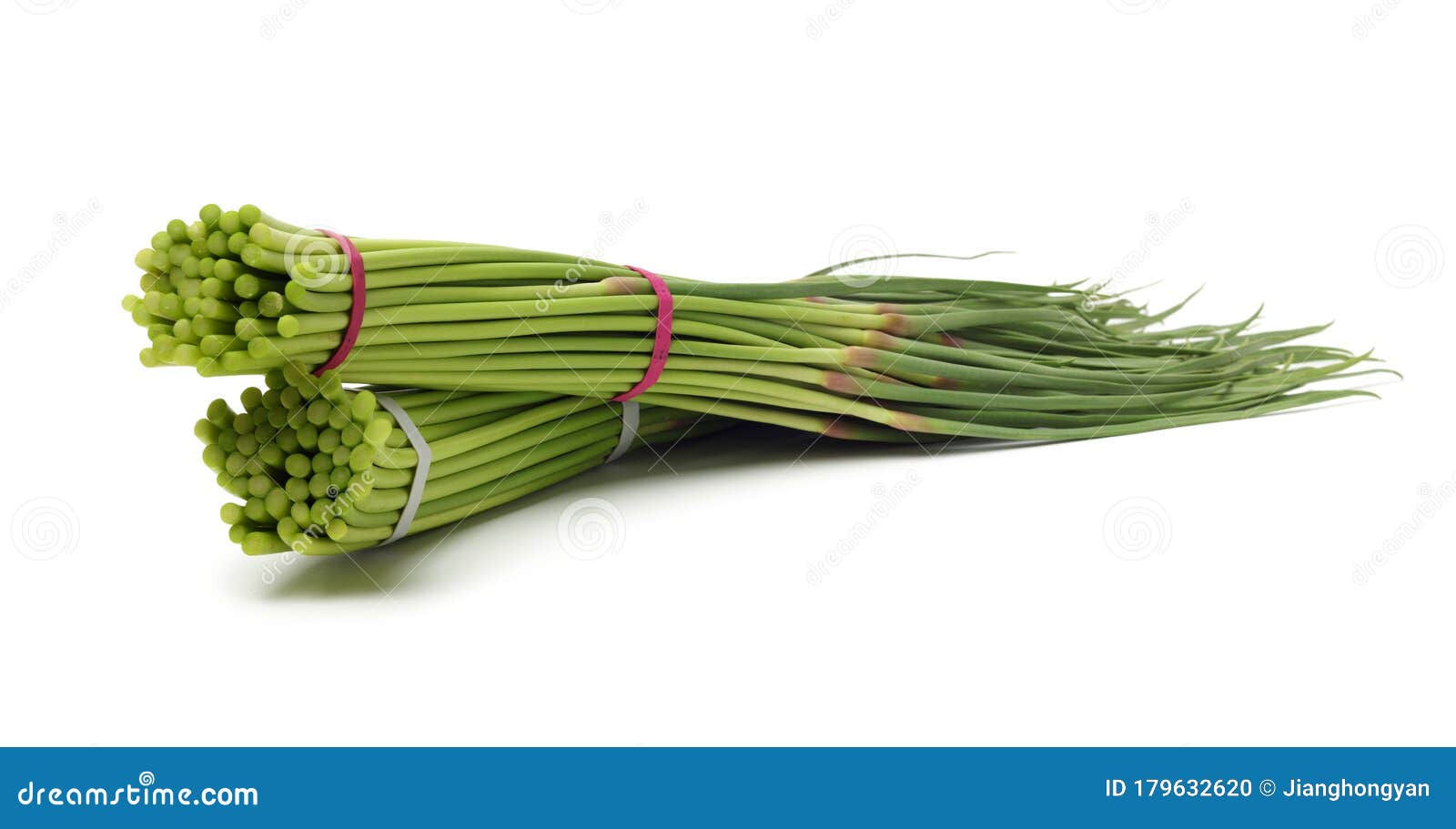 Garlic bolt stock photo. Image of ingredients, grass - 179632620