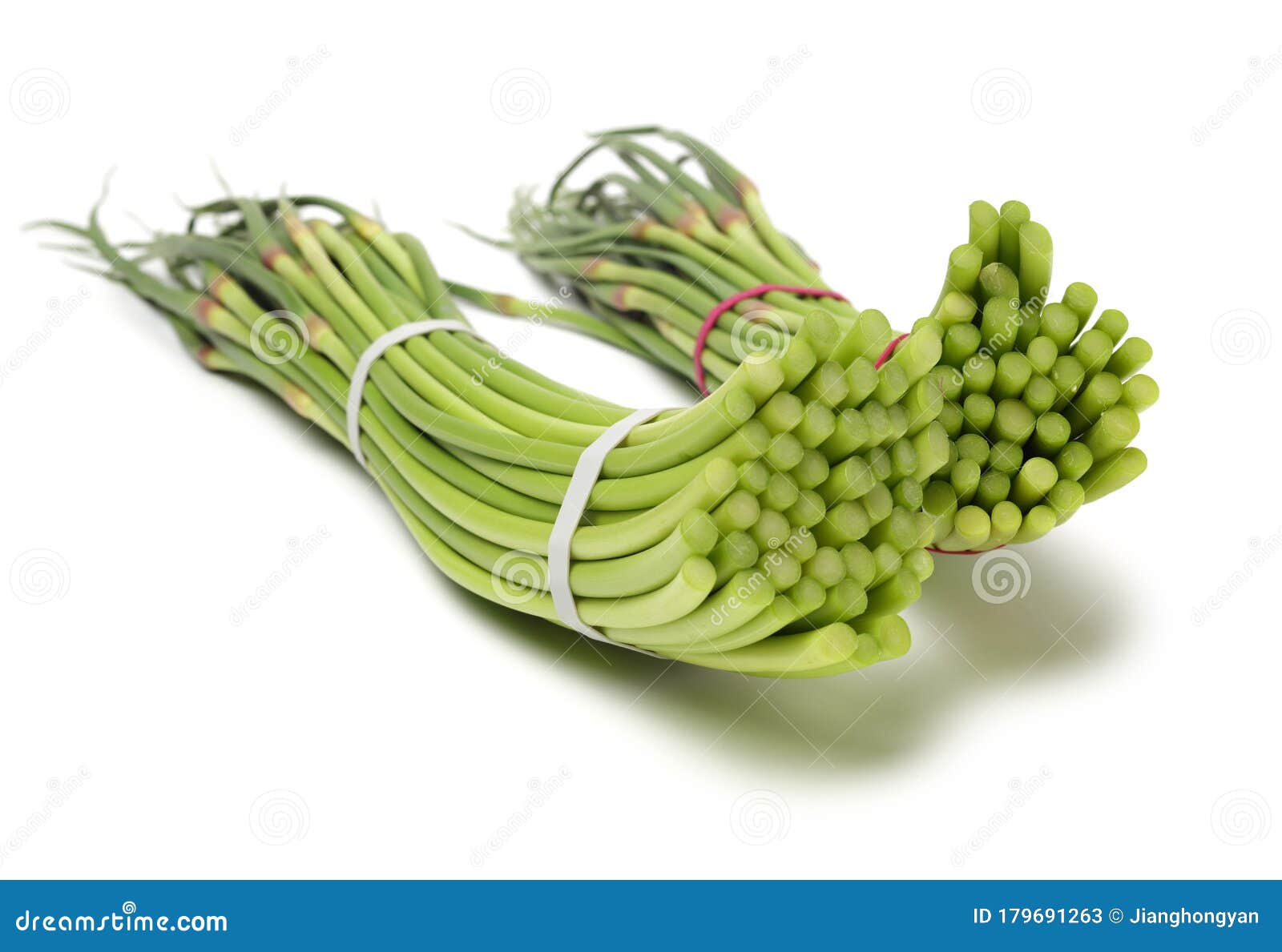 Garlic bolt stock image. Image of buds, innocence, leeks - 179691263