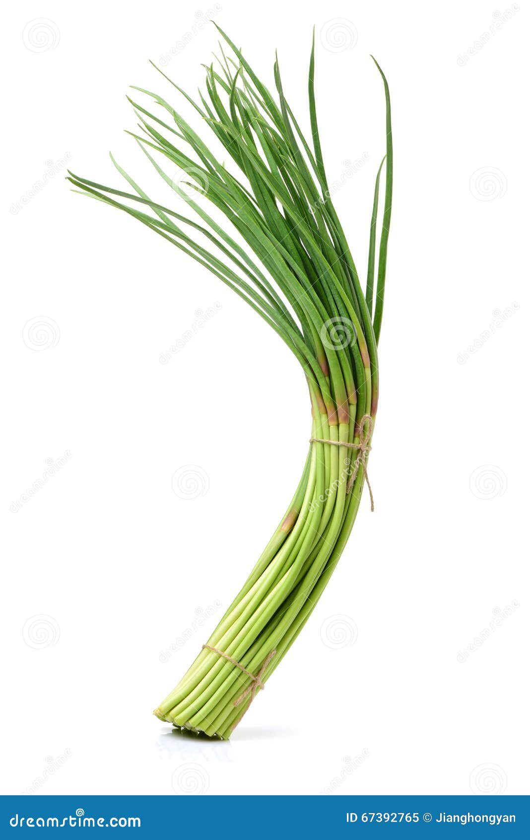 Garlic bolt stock image. Image of macros, herbs, chives - 67392765
