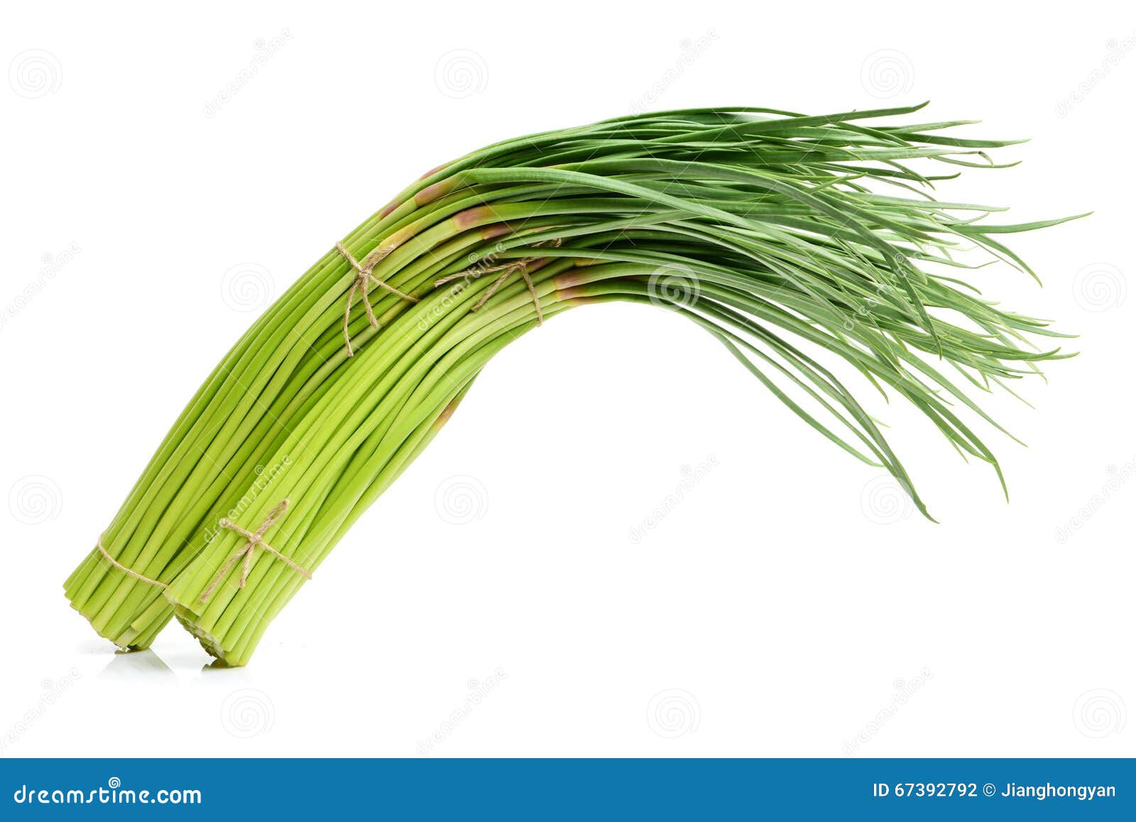 Garlic bolt stock photo. Image of national, green, farming - 67392792