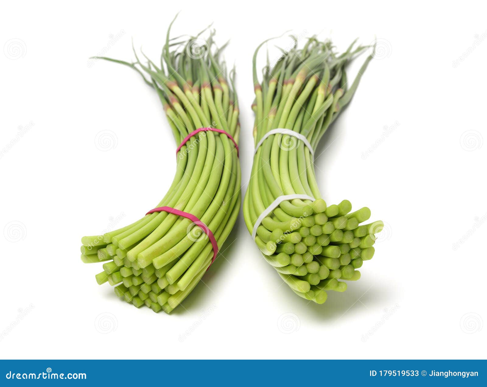 Garlic bolt stock image. Image of farming, closeup, gardening - 179519533