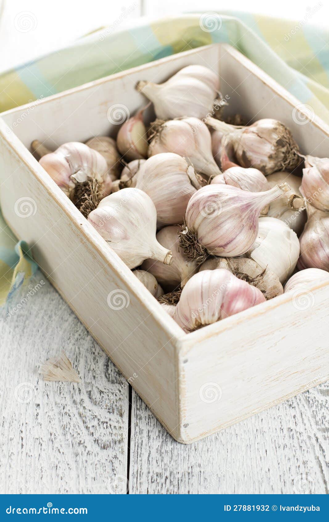 Garlic in box stock photo. Image of gourmet, eating, close - 27881932