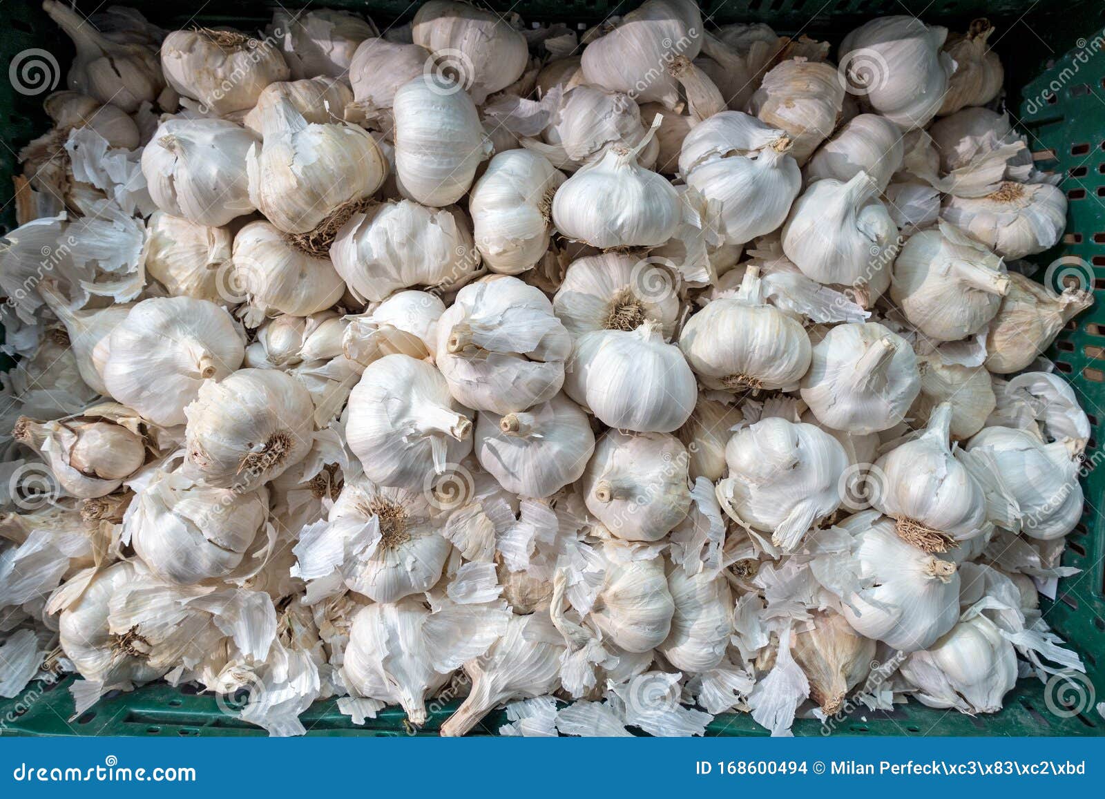 Garlic stock photo. Image of obchod, garlic, healthy - 168600494