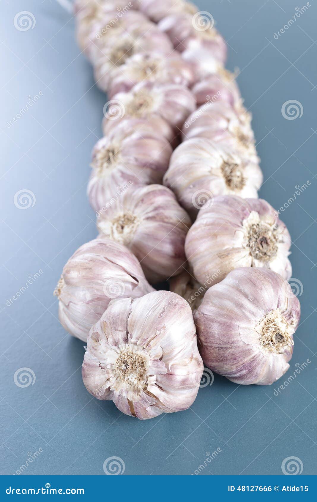 Garlic stock photo. Image of aromatic, fresh, braid, culinary - 48127666