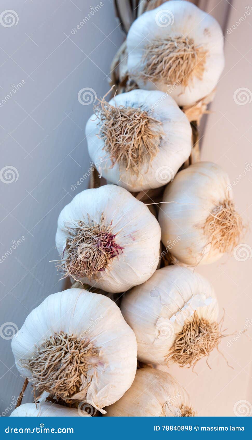 A garlic braid stock photo. Image of spiciness, popular - 78840898