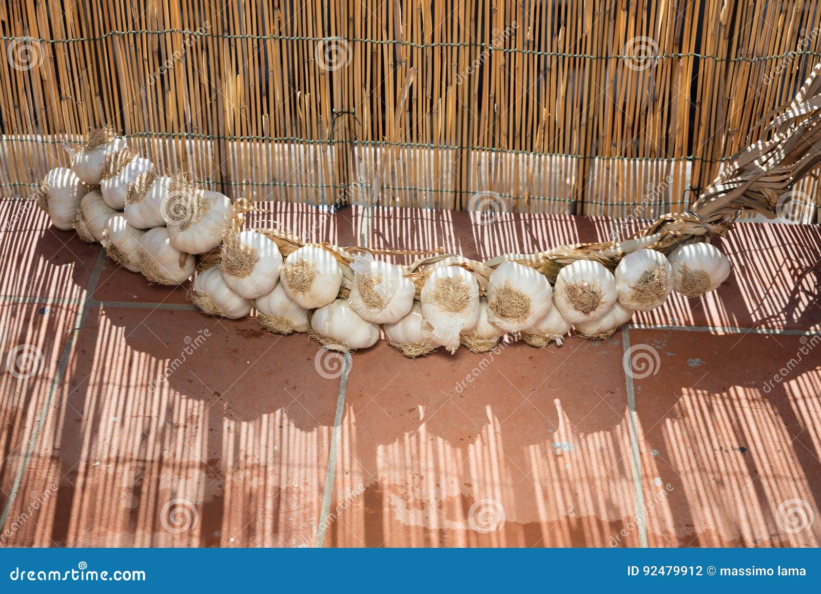 A garlic braid stock photo. Image of parsley, healthy - 92479912