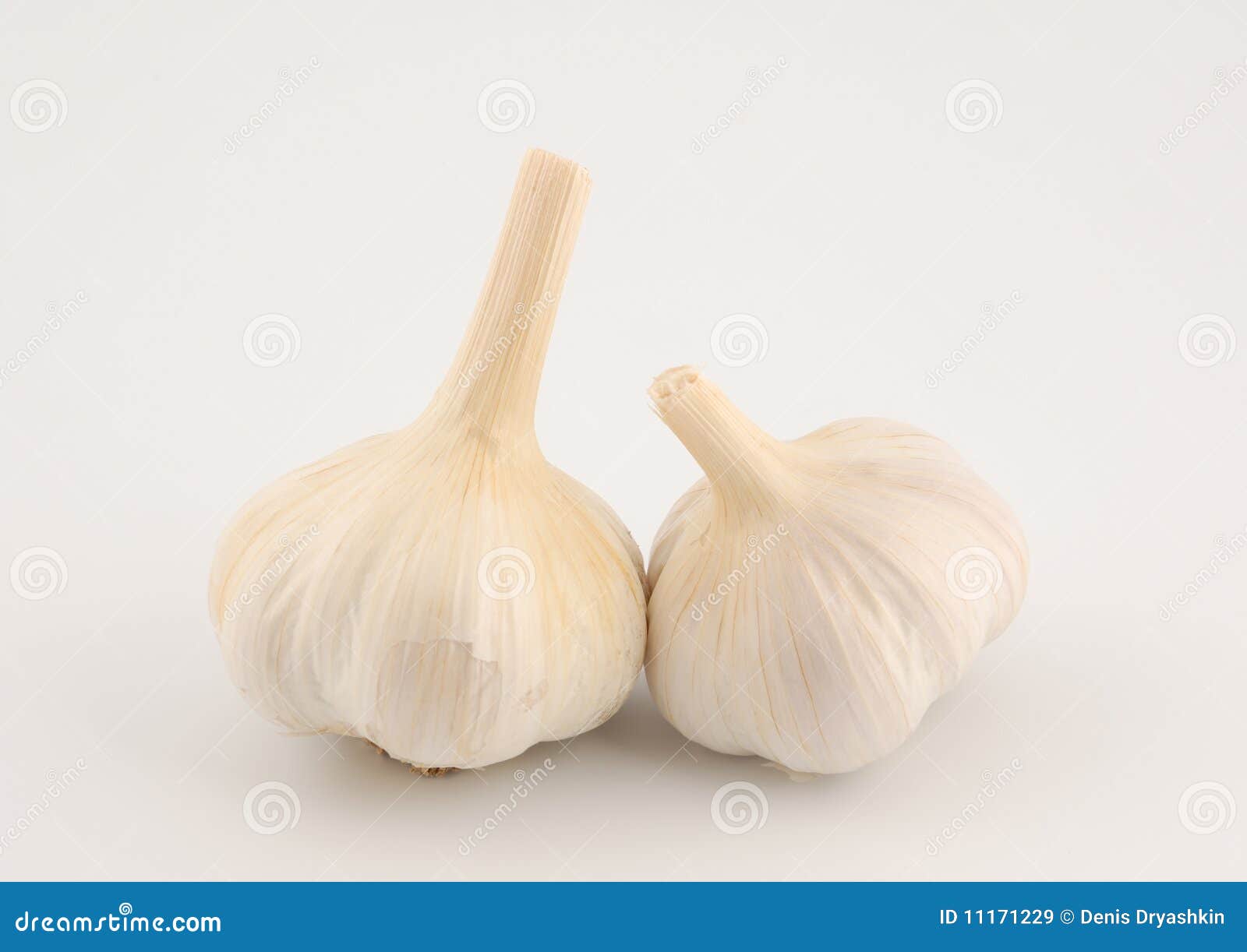 Garlic Bulb stock image. Image of healthy, gourmet, closeup - 11171229