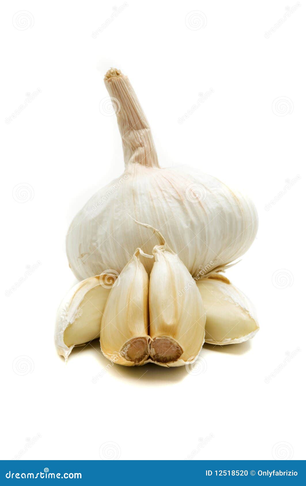 Garlic bulb stock photo. Image of condiment, white, background - 12518520