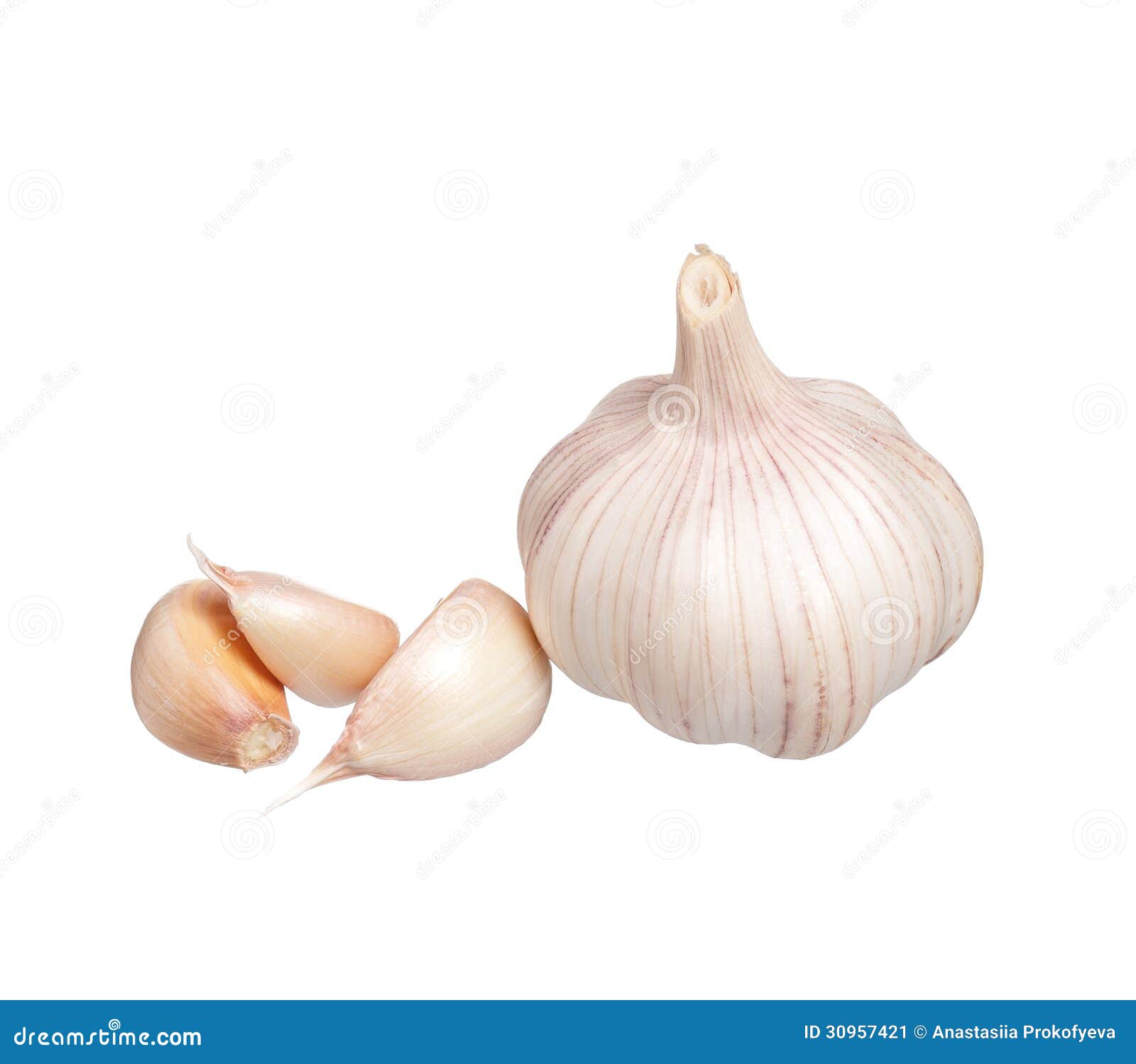 Garlic bulb stock image. Image of head, gourmet, garlic - 30957421