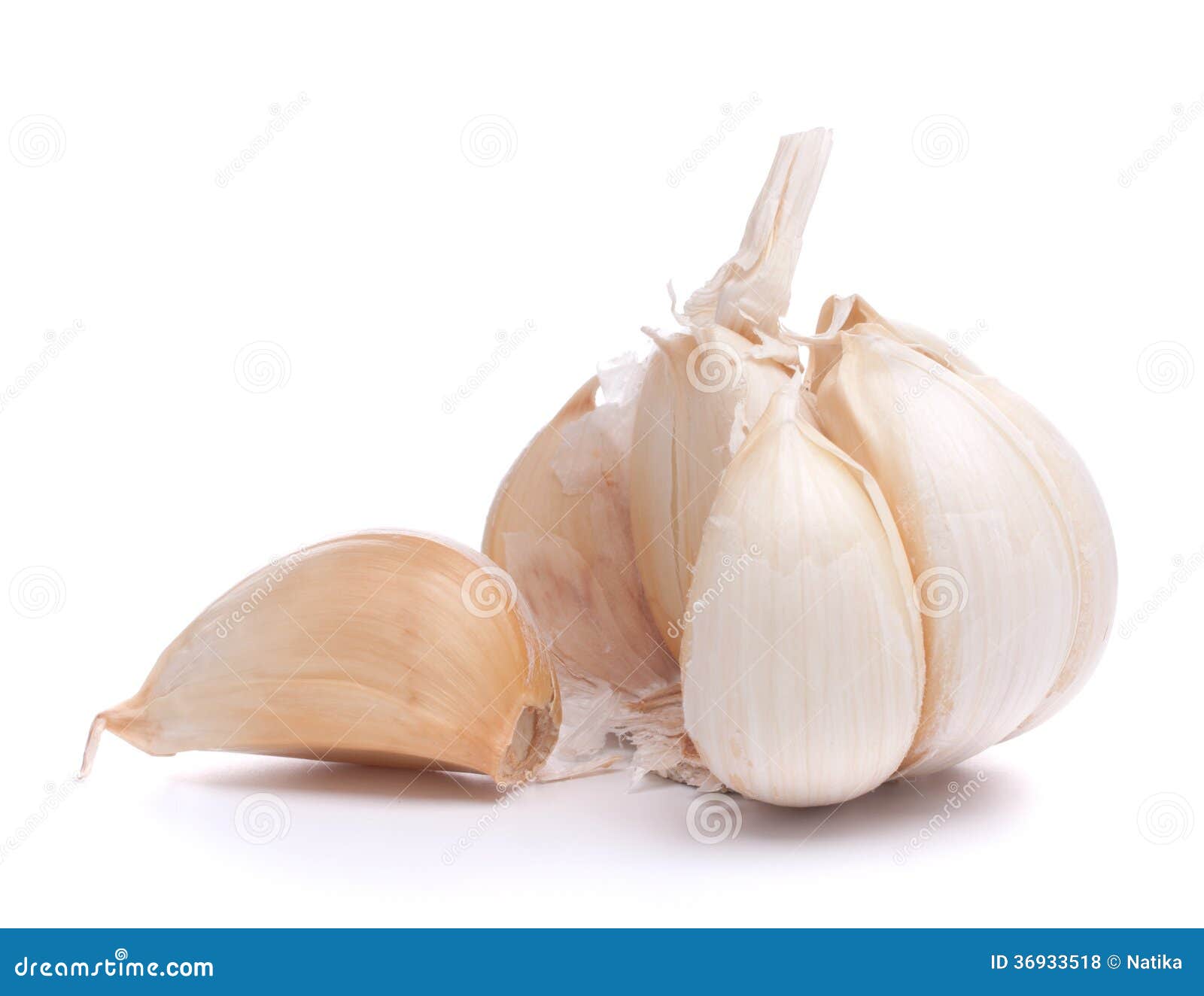 Garlic bulb stock photo. Image of fresh, harvest, close - 36933518