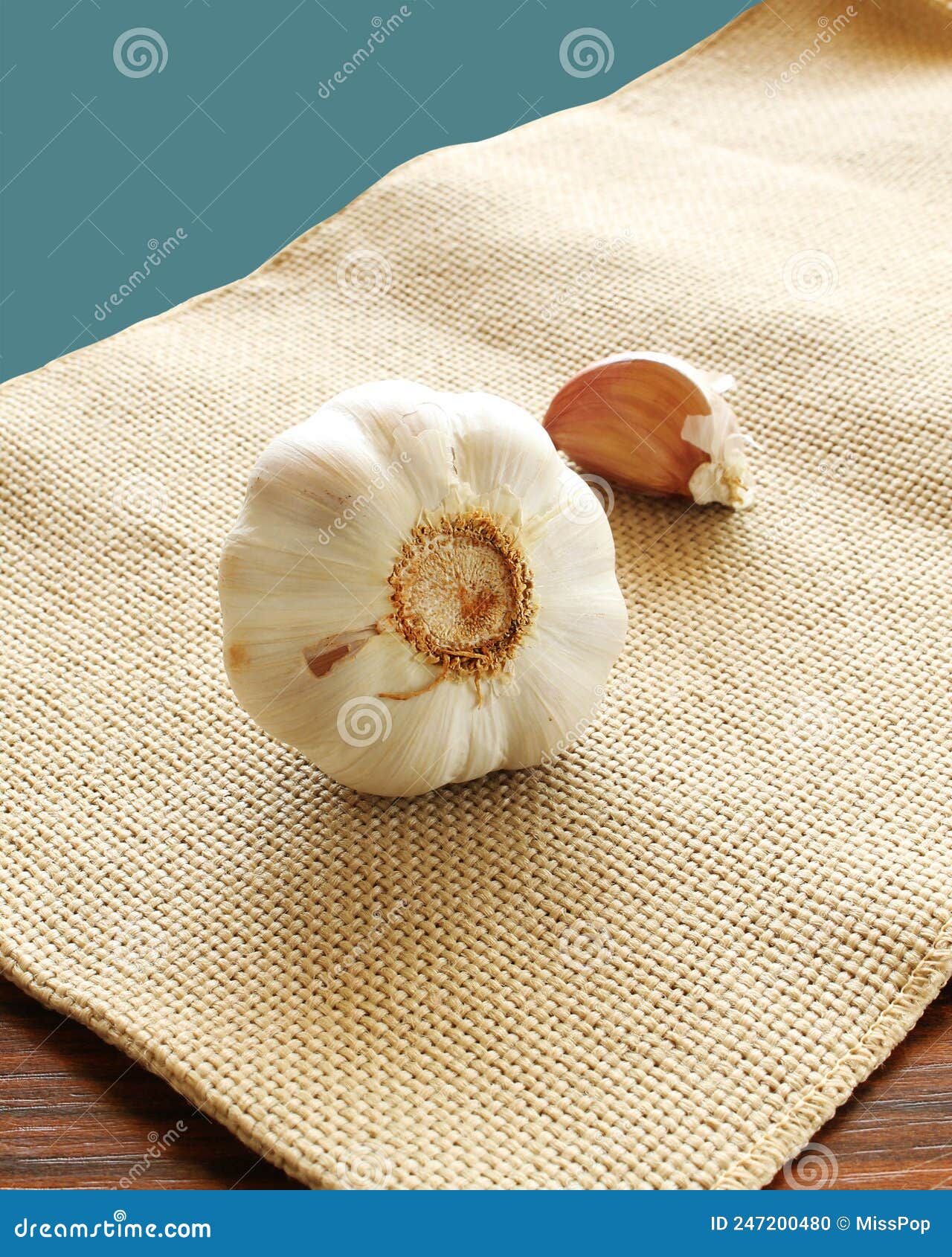 Garlic Bulb on the Jute Fabric in Blue Background Stock Photo - Image ...