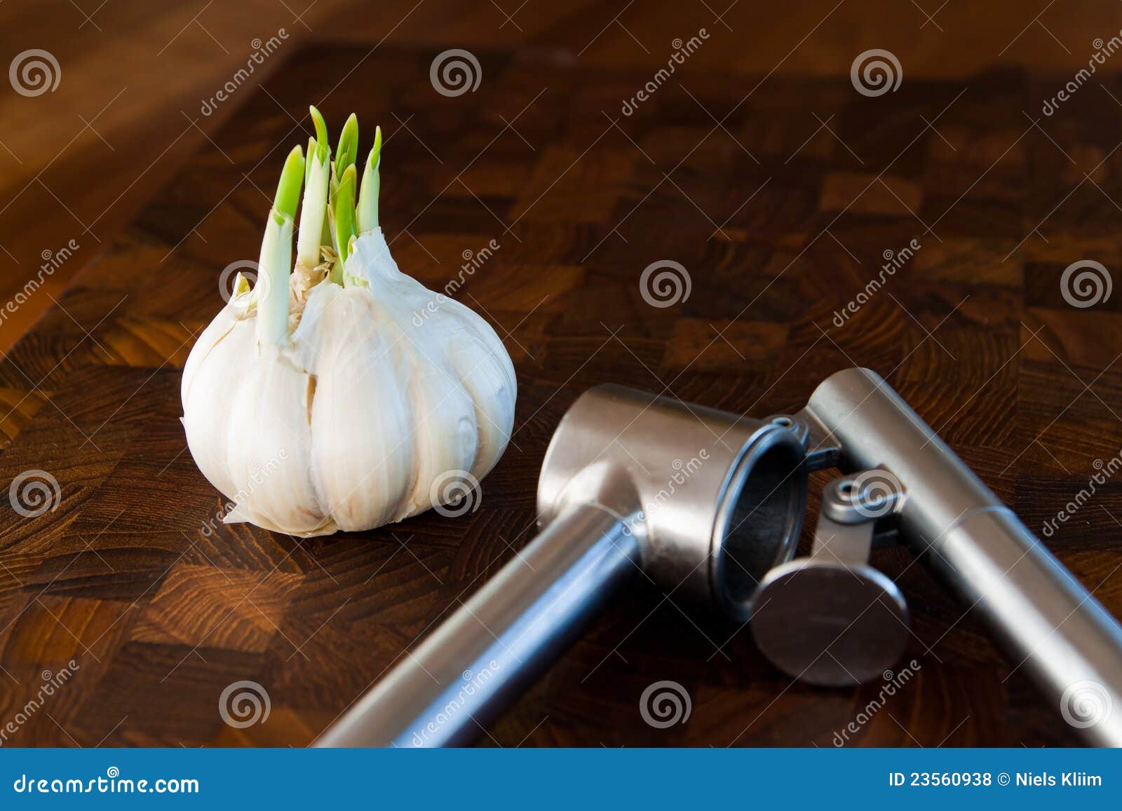 Garlic Bulb and Press on Wooden Surface Stock Photo - Image of growing ...