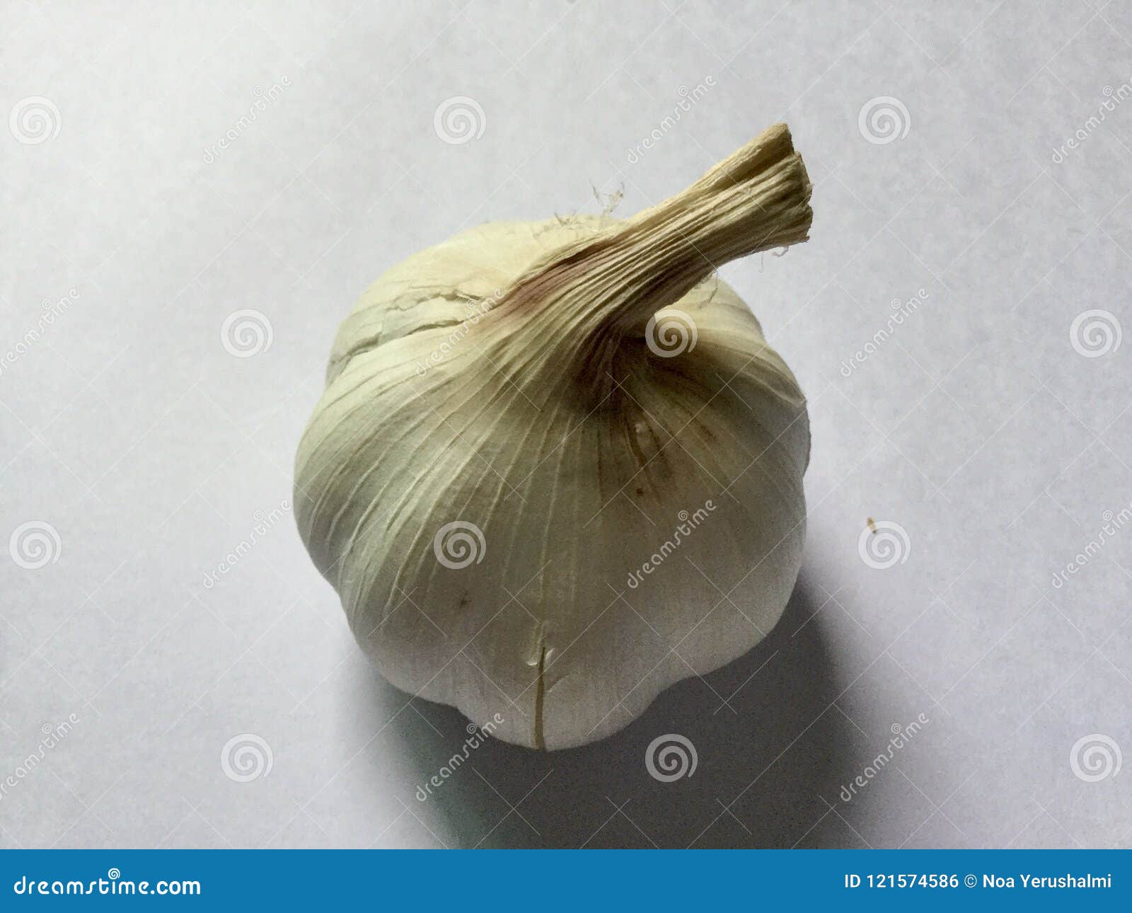 Garlic. Single. stock photo. Image of foodie, garlicart - 121574586