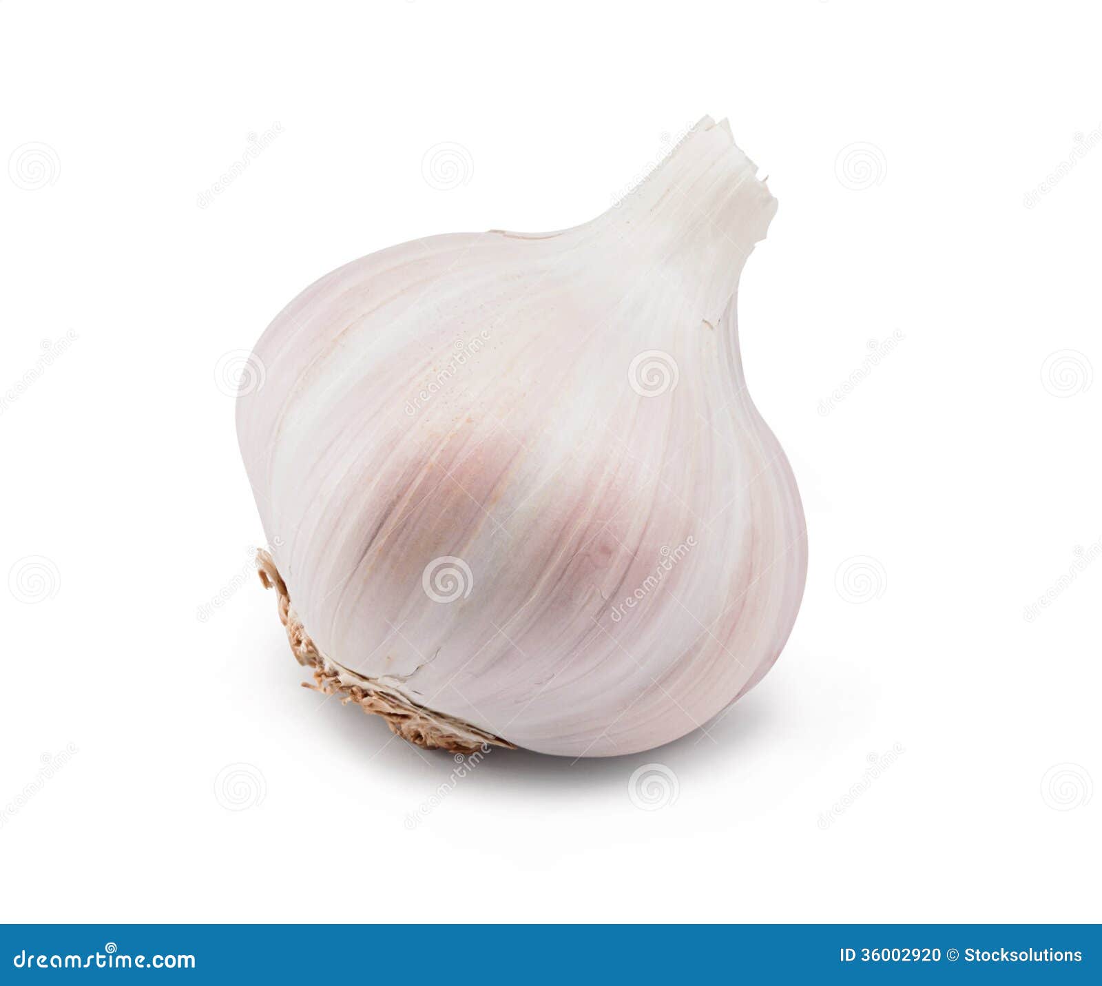 Garlic Bulb Cut In Half Inside Cross Section Isolated On White Stock ...