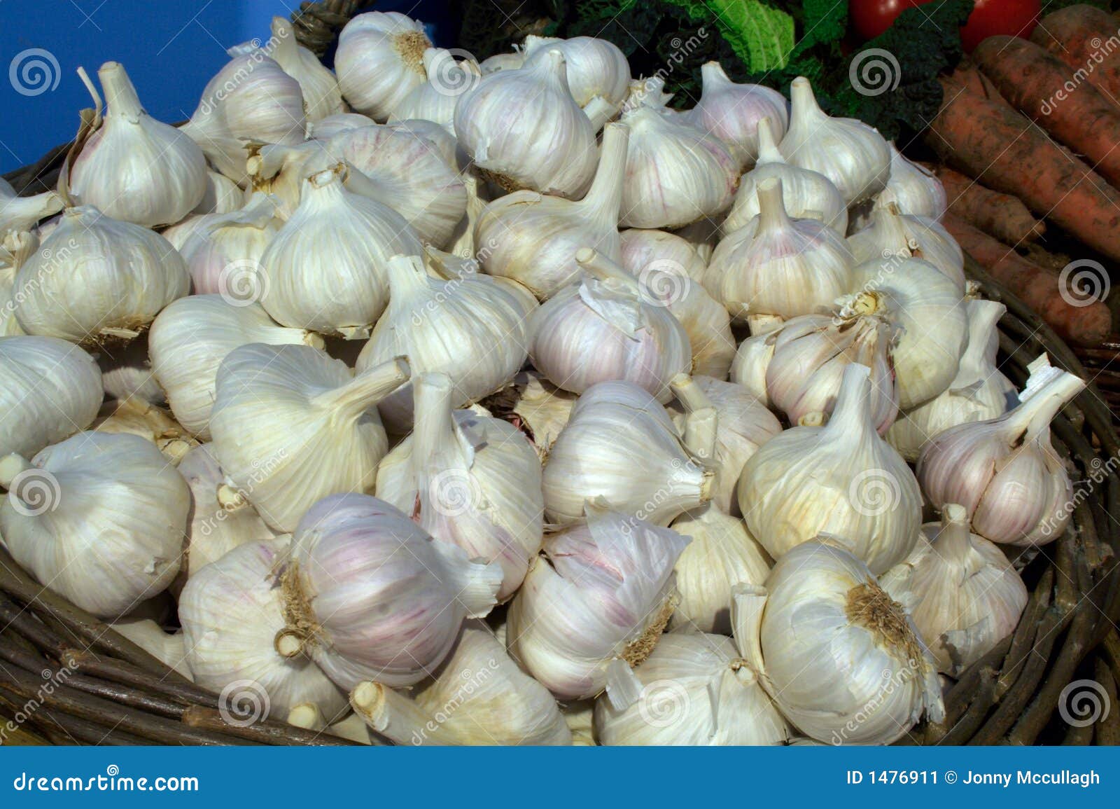 Garlic Bulbs stock image. Image of health, healthy, italian - 1476911