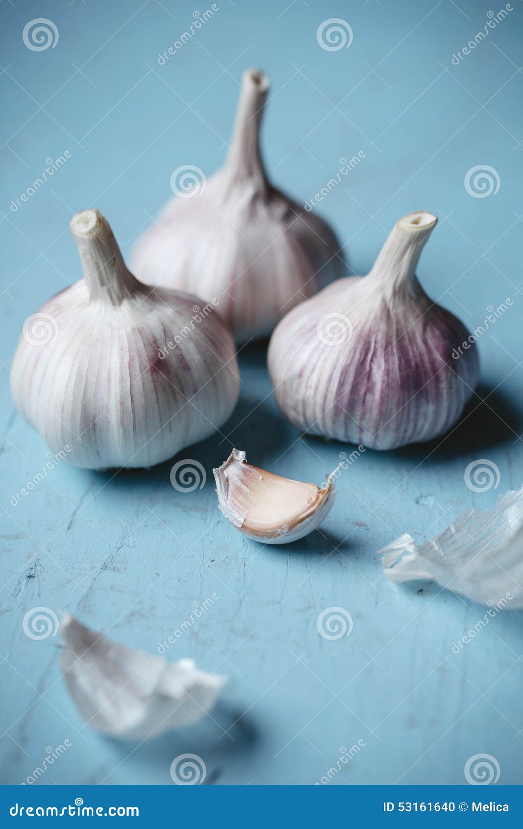 Garlic stock photo. Image of food, blue, bulb, herbs - 53161640